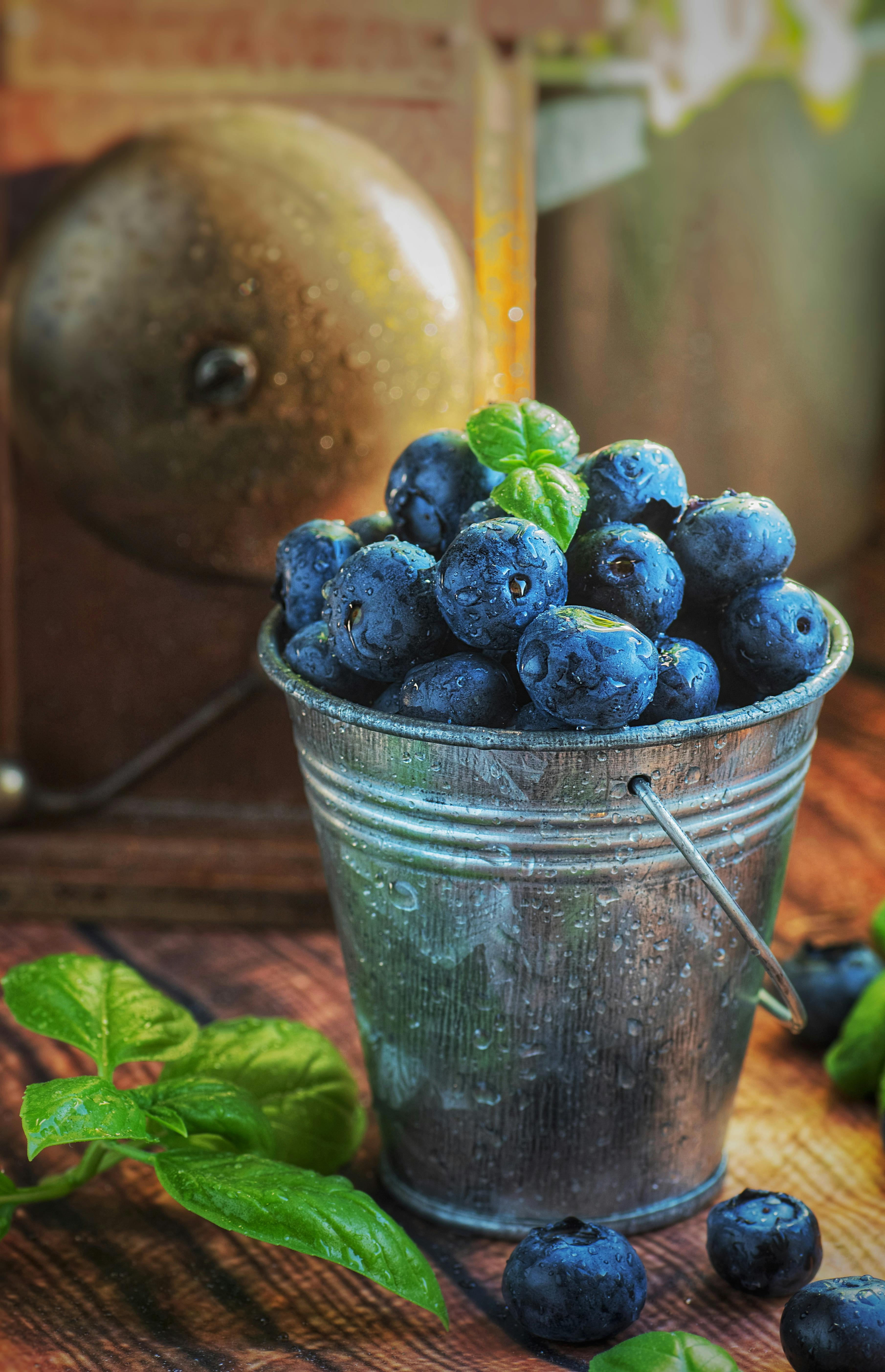 Steel Bucket of Blueberries · Free Stock Photo