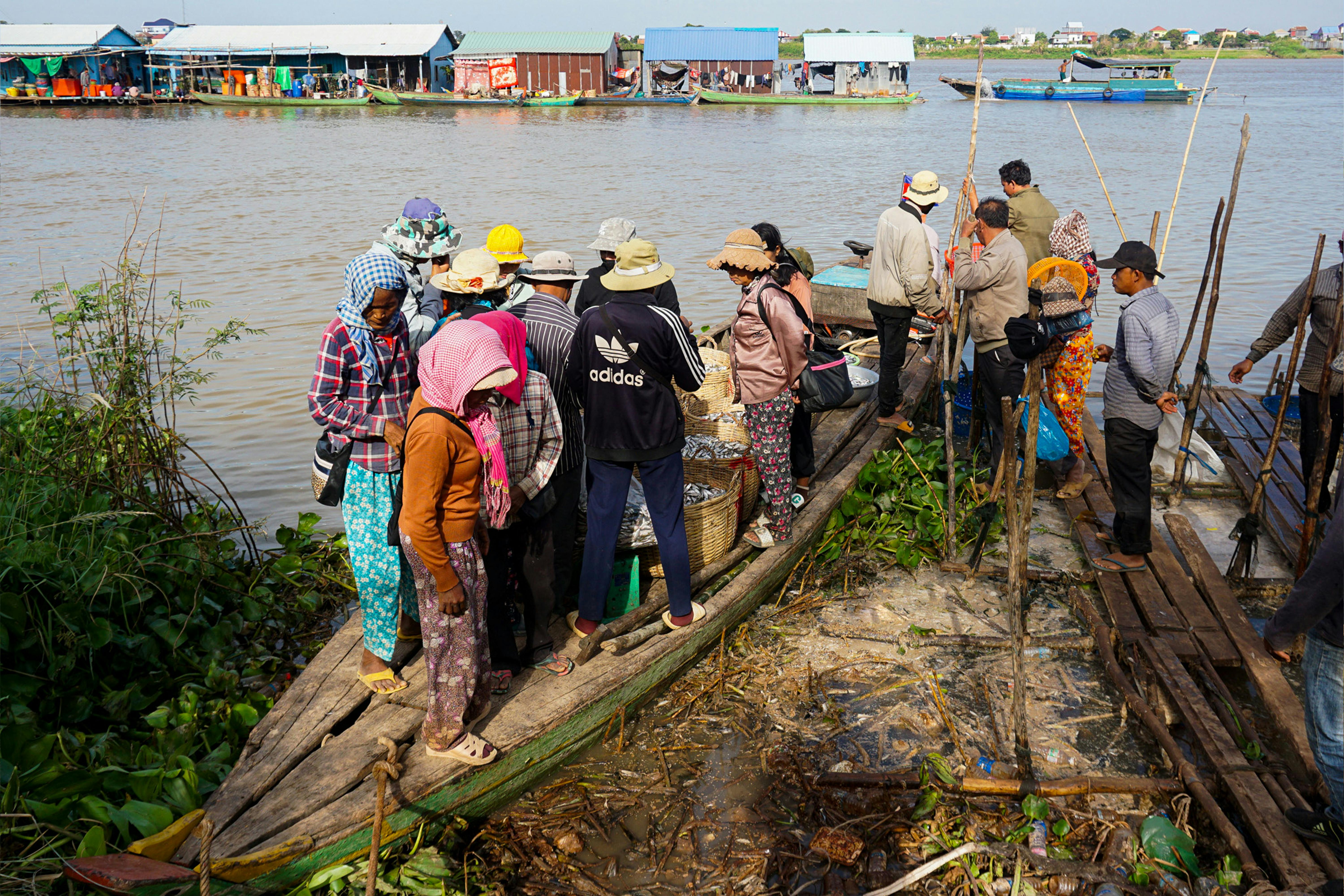 People is Buying Small Fresh Water Fish to Make Khmer Prahok · Free ...