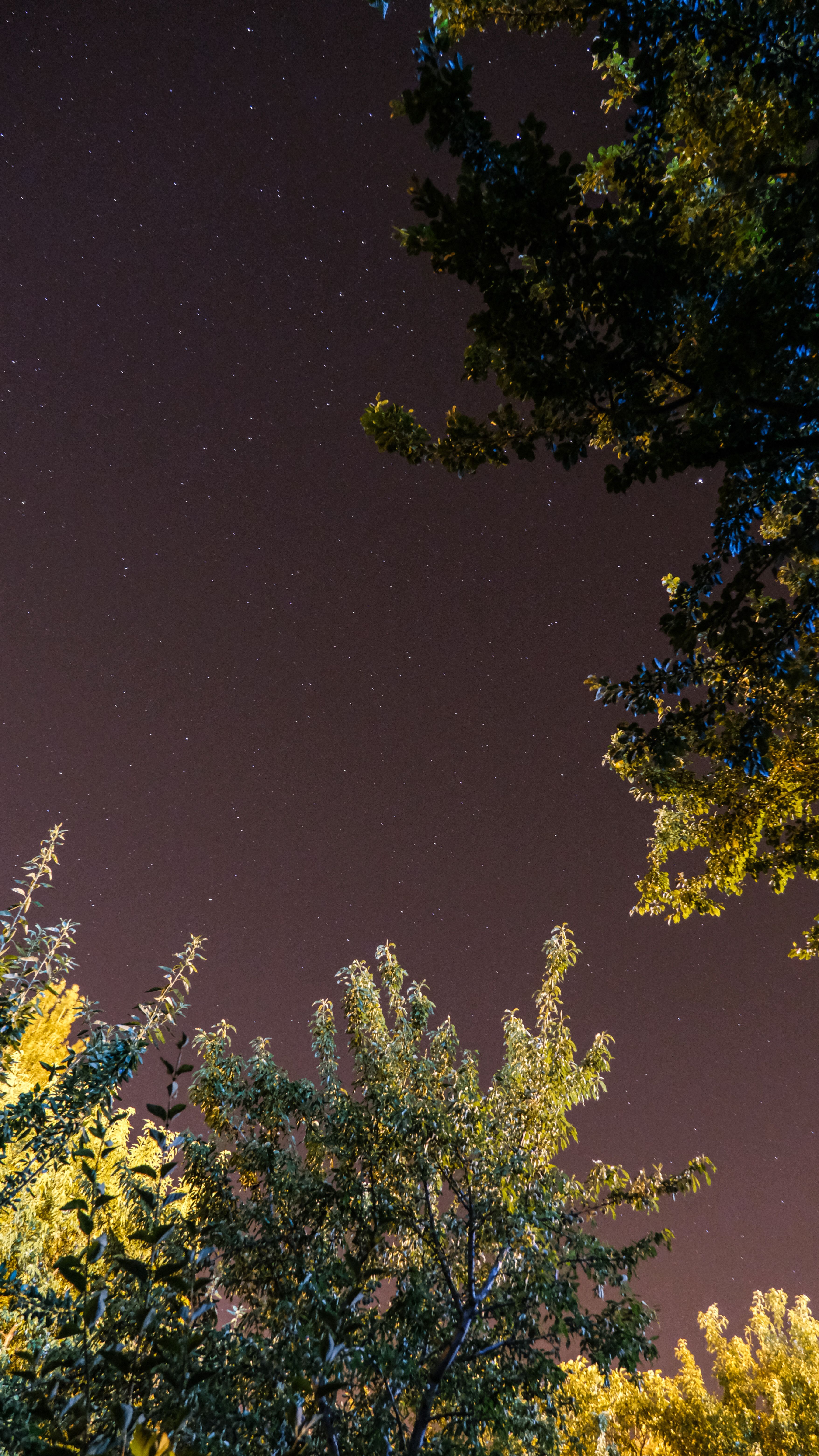 Space Sky Thoughts Photos, Download The BEST Free Space Sky Thoughts ...