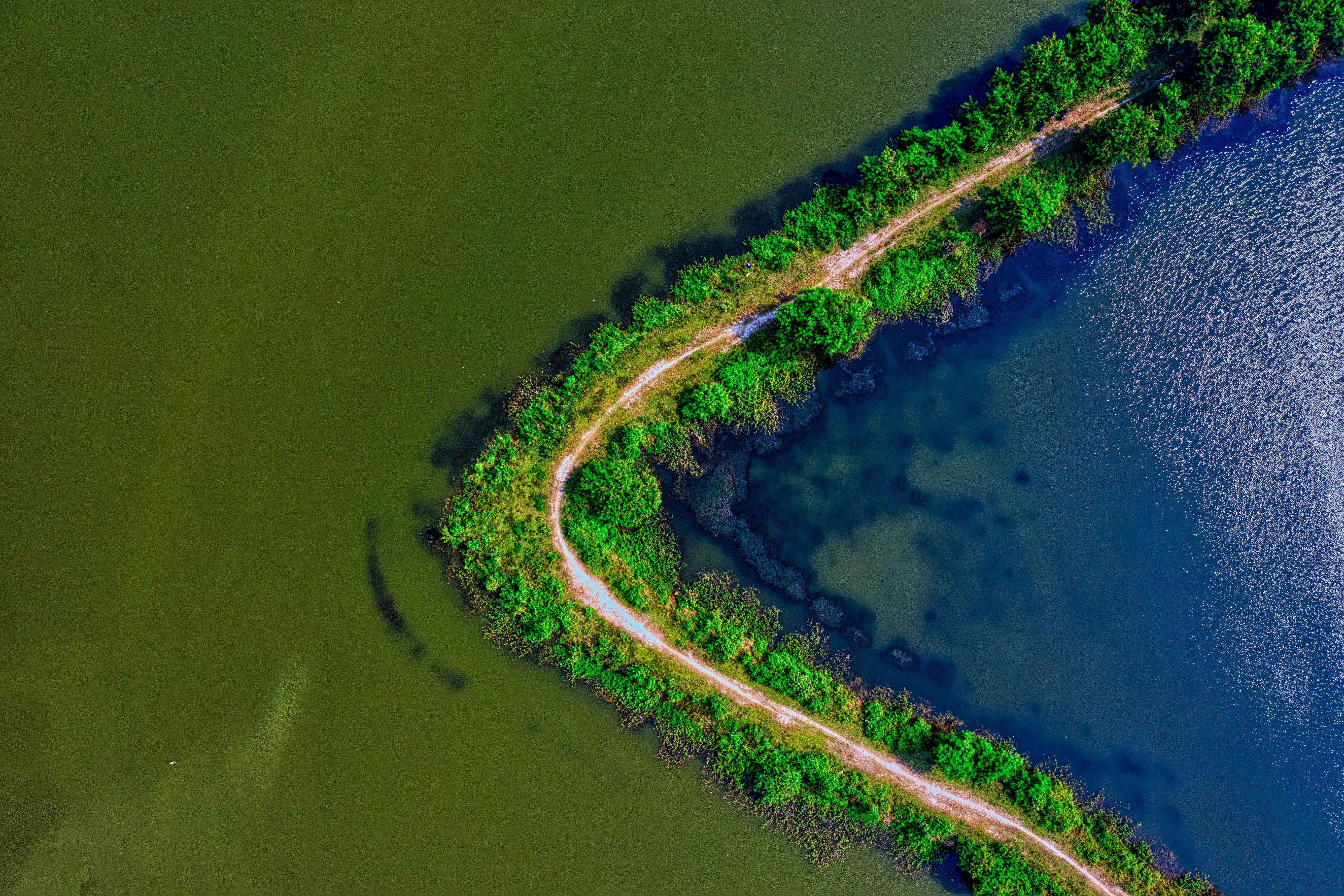 Aerial Photography of Body of Water Near Trees · Free Stock Photo