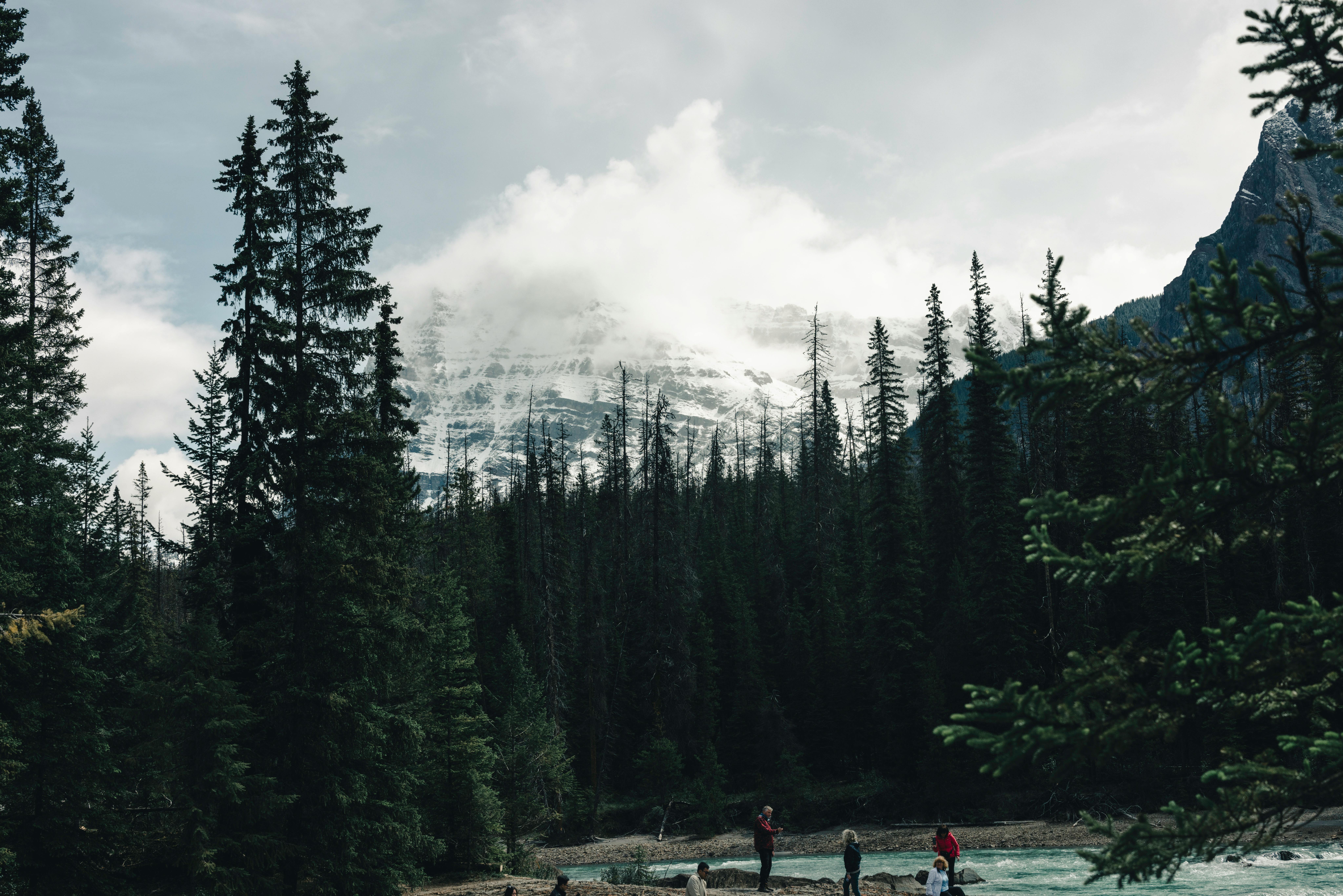 Yoho National Park has never looked better · Free Stock Photo