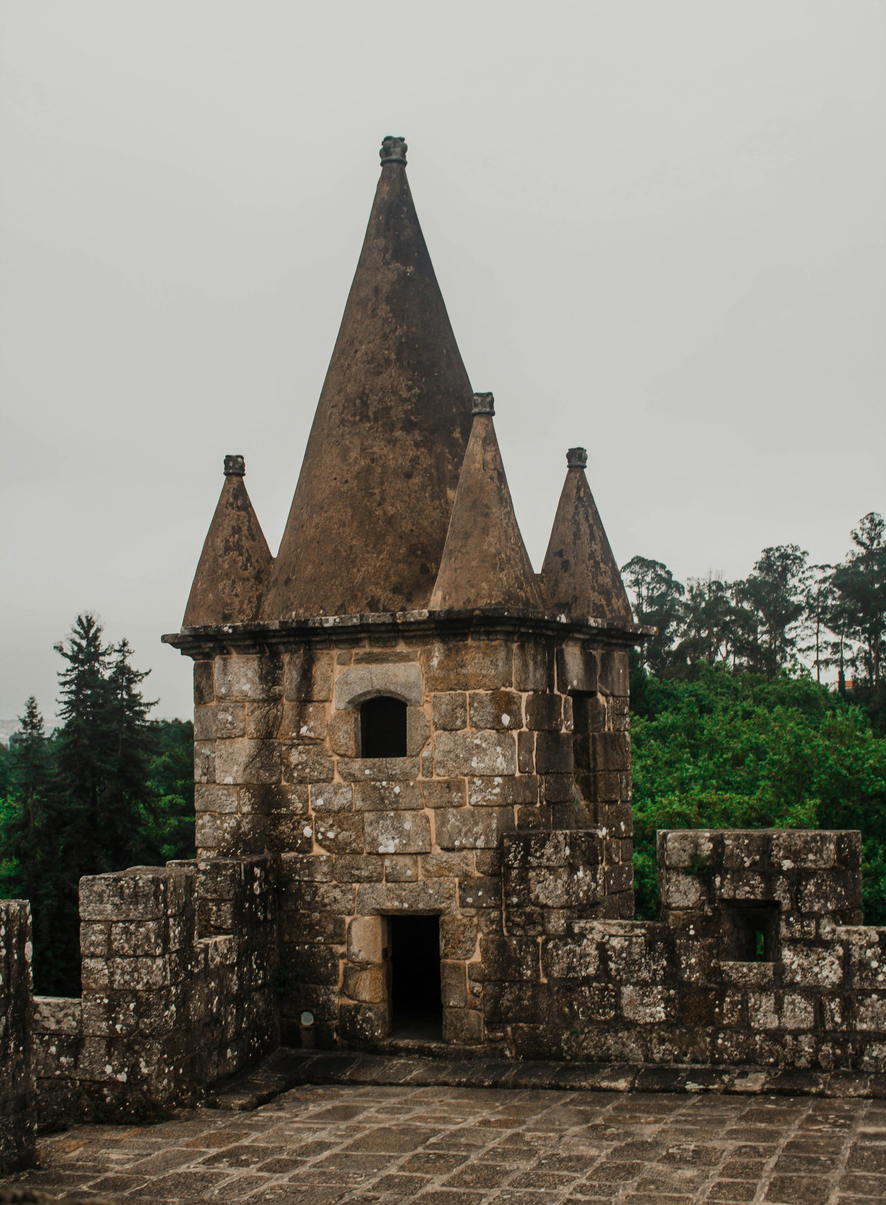 Medieval Scrol Photos, Download The BEST Free Medieval Scrol Stock ...