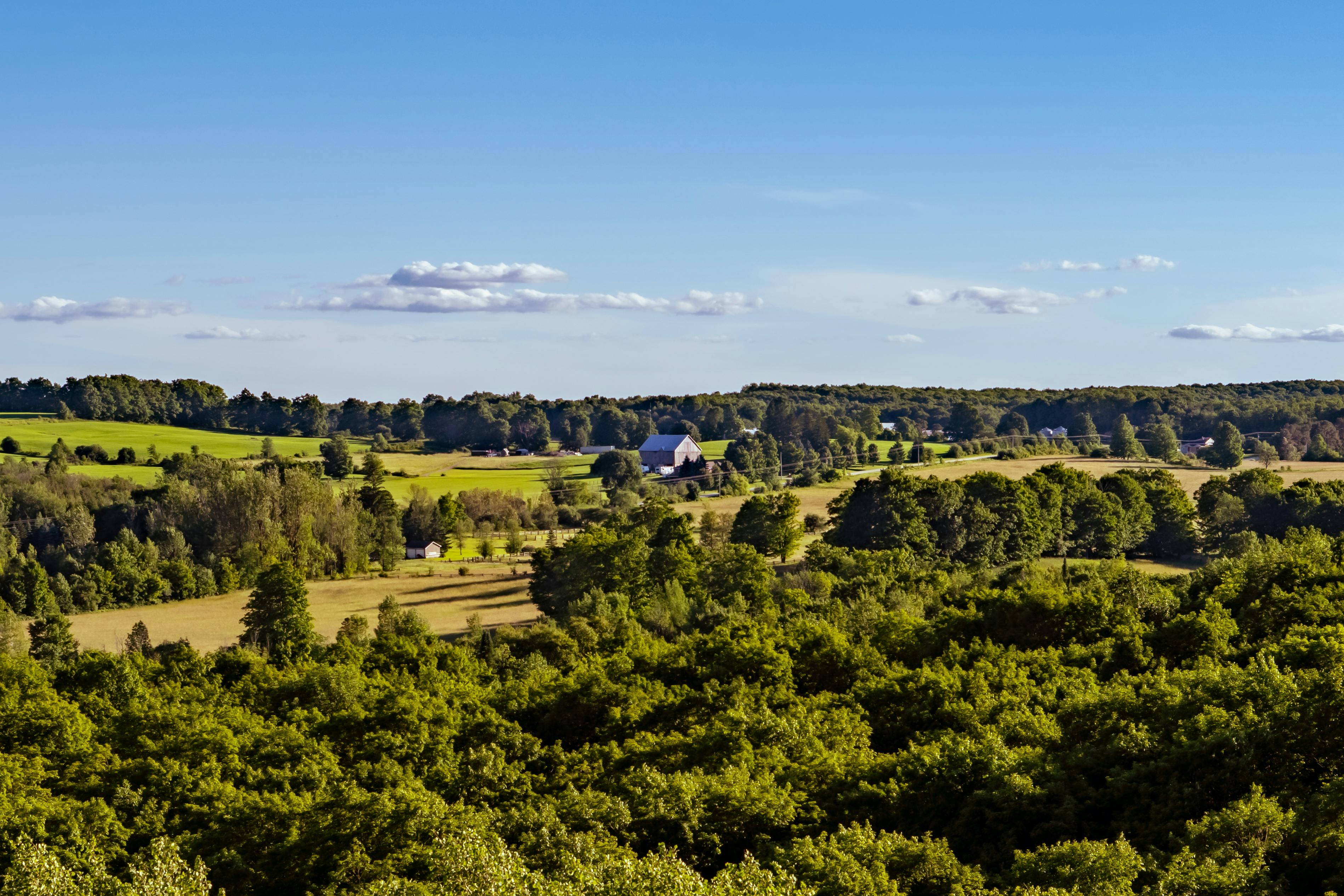 Green Countryside Landscape in Summer · Free Stock Photo
