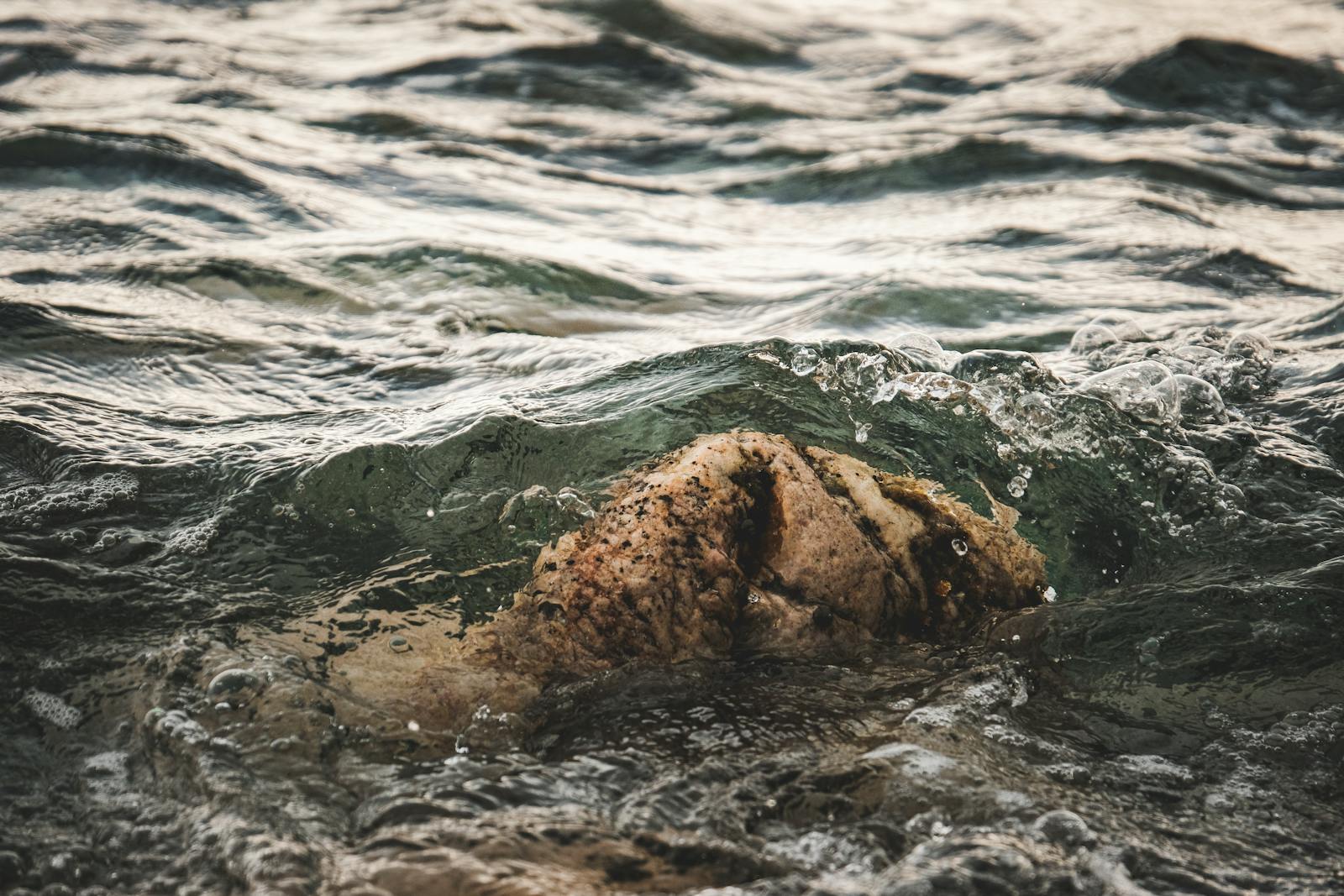 Water Wave Photos, Download The BEST Free Water Wave Stock Photos & HD ...