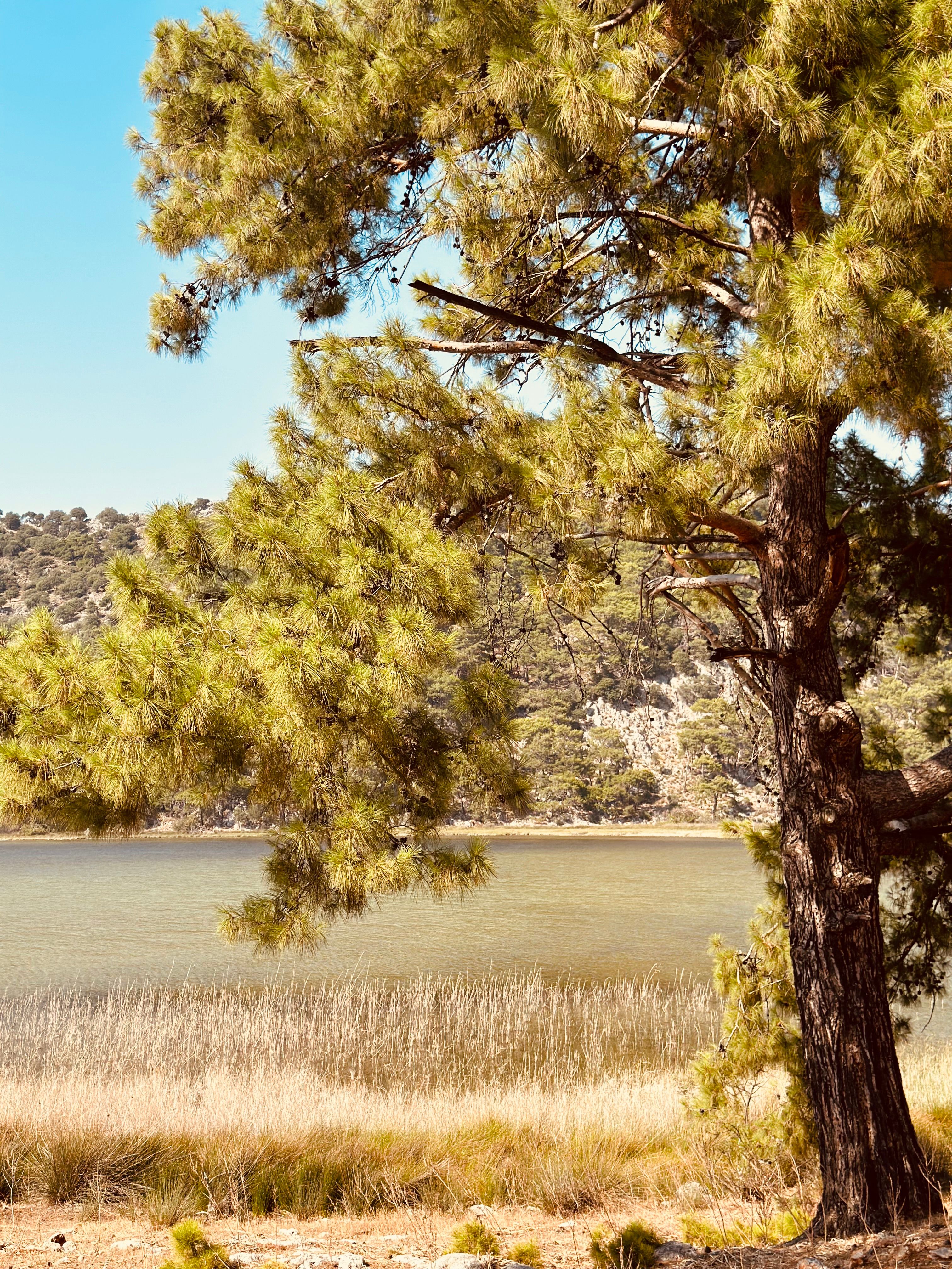 Body Of Water Photos, Download The BEST Free Body Of Water Stock Photos ...
