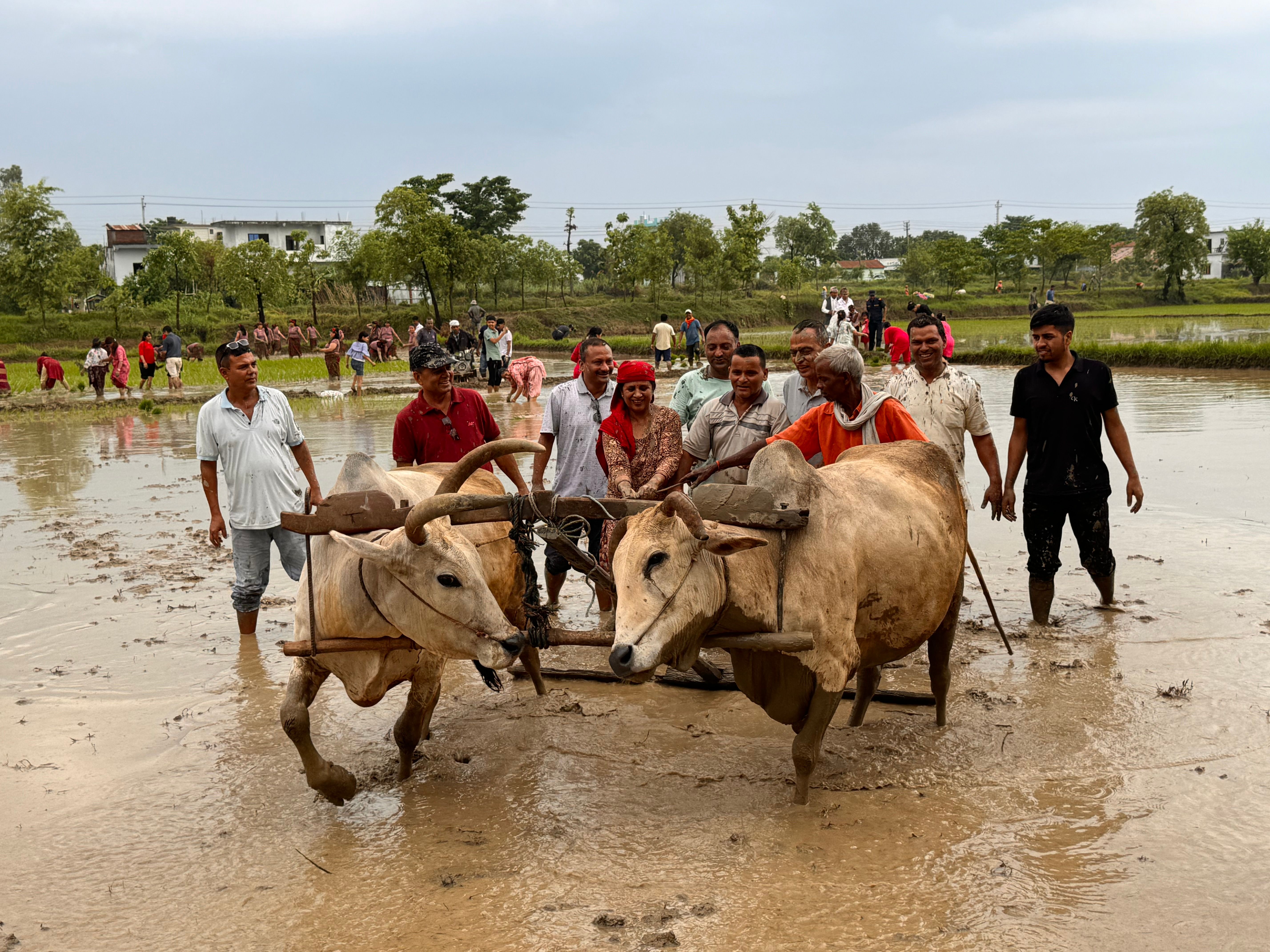 A group of people are pulling a cart through the mud · Free Stock Photo