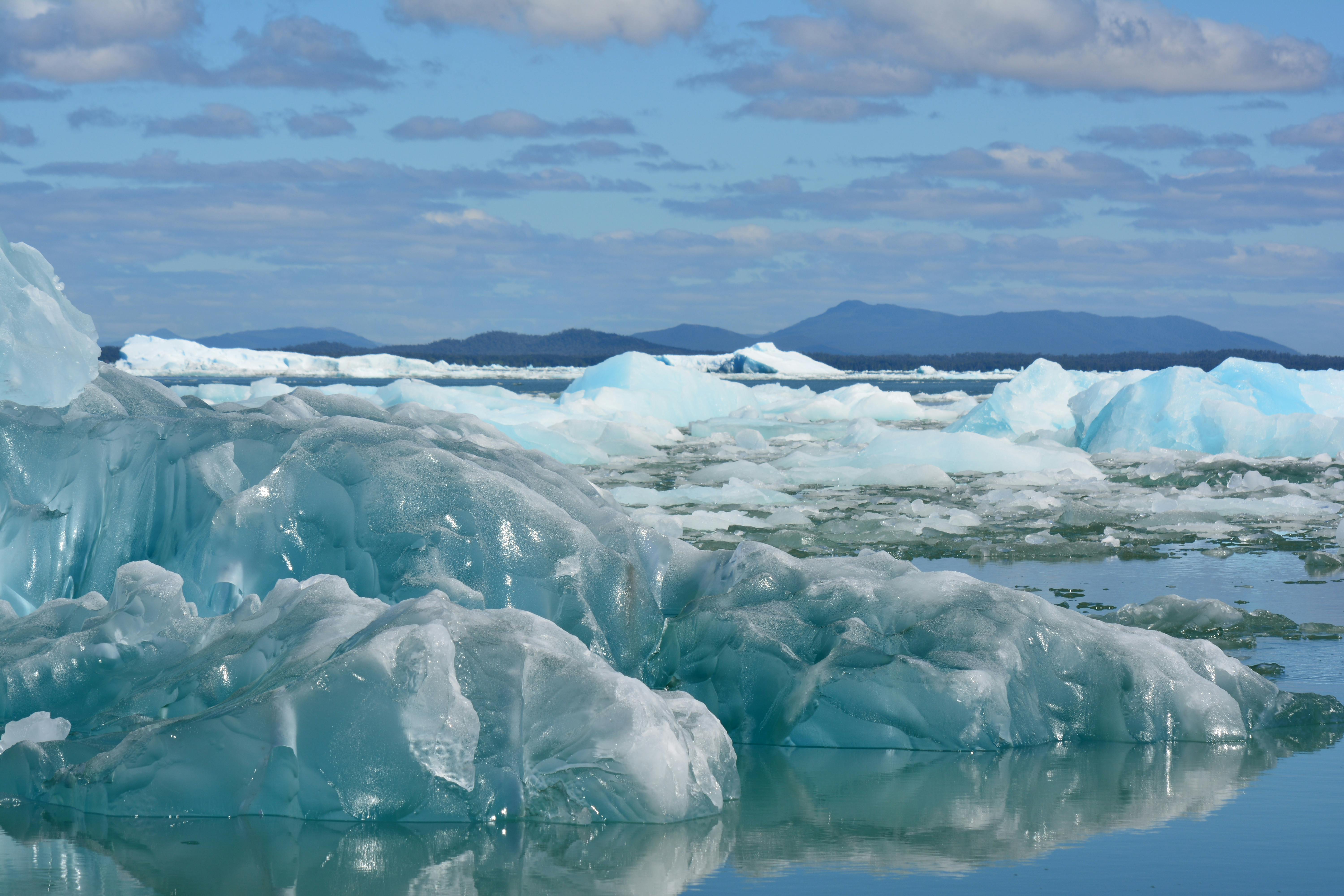 Ice Sheets in Polar Sea · Free Stock Photo