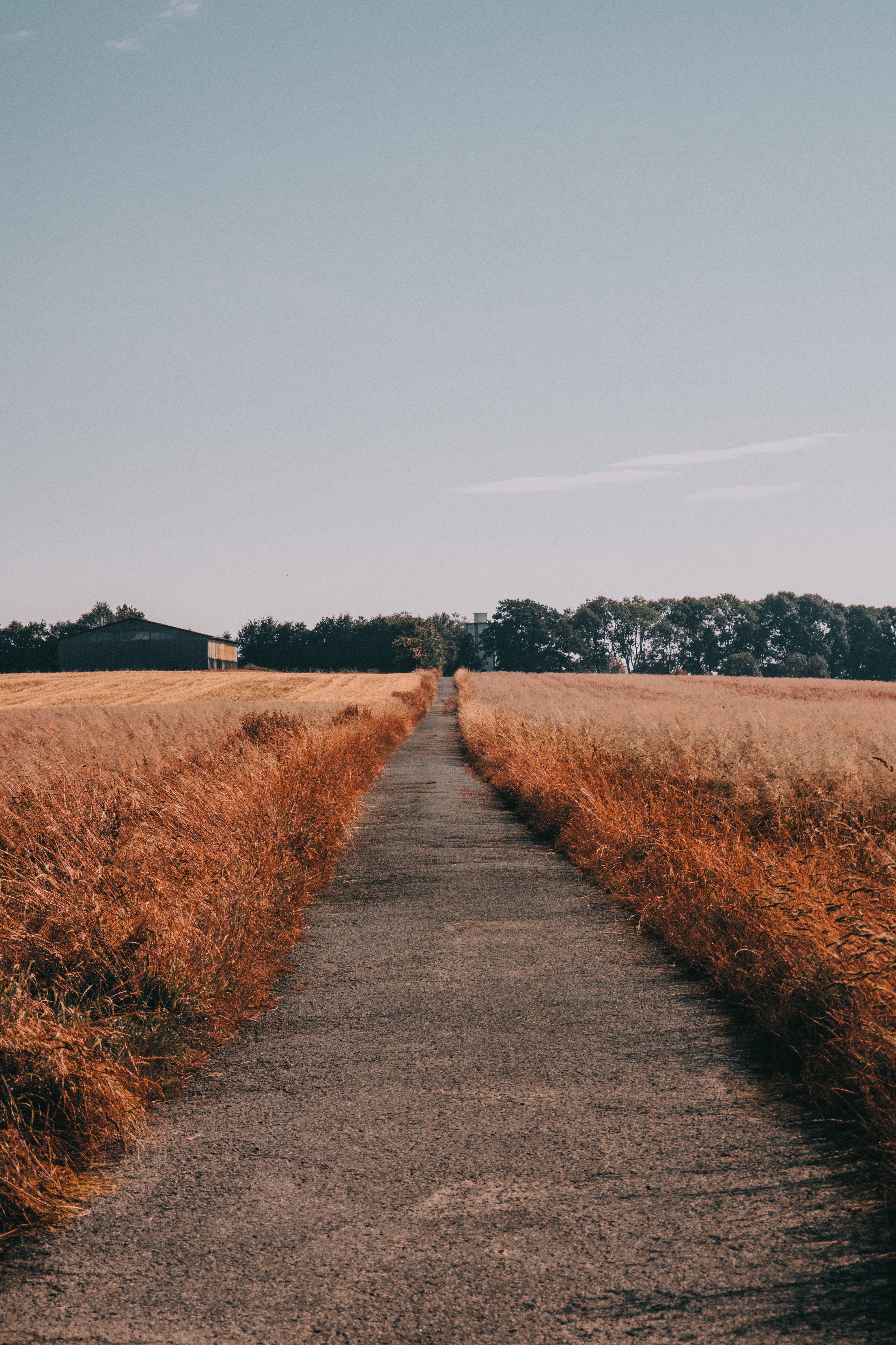 Country Life Photos, Download The BEST Free Country Life Stock Photos ...