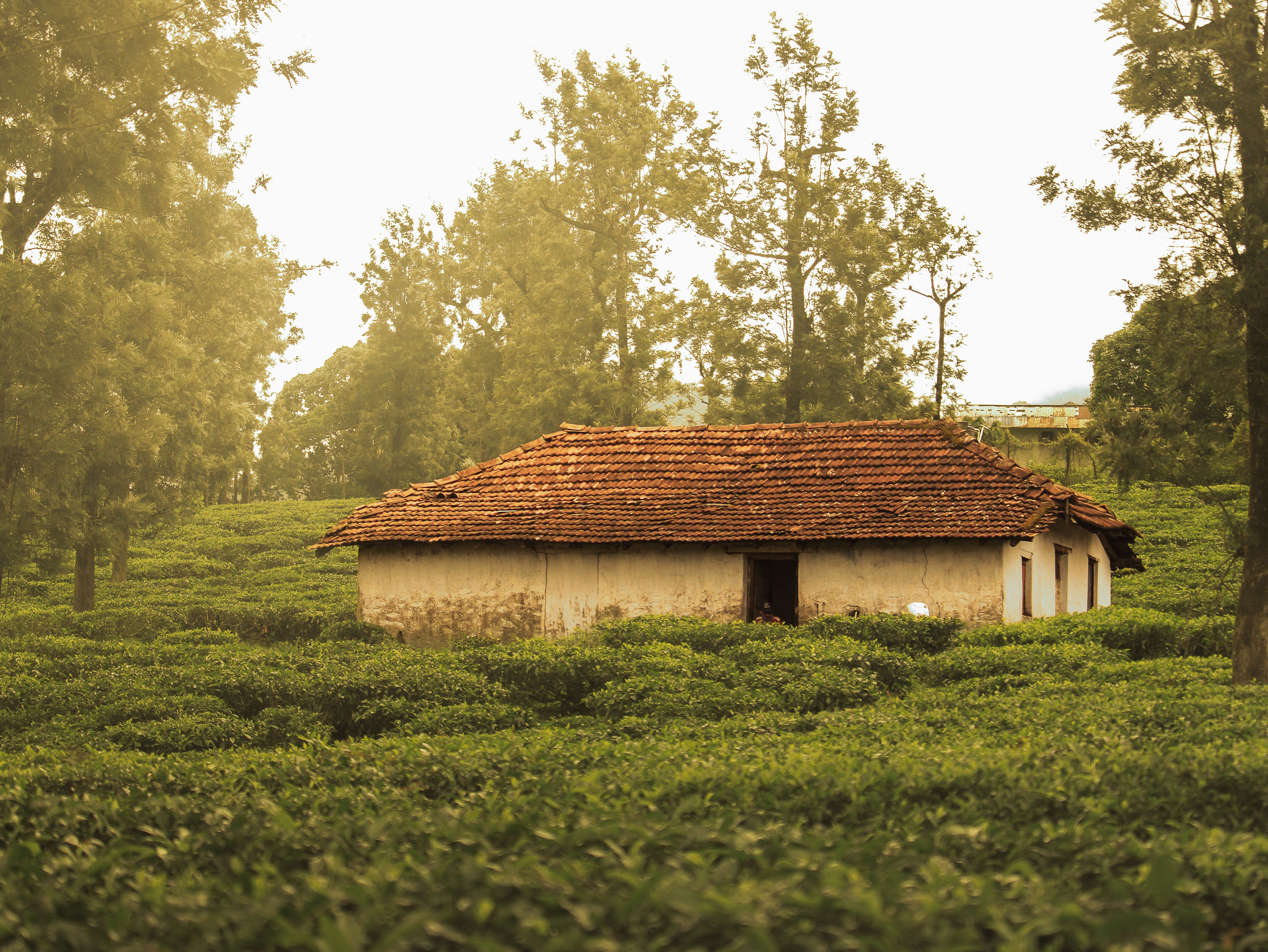 Abandoned Detached Rural House · Free Stock Photo