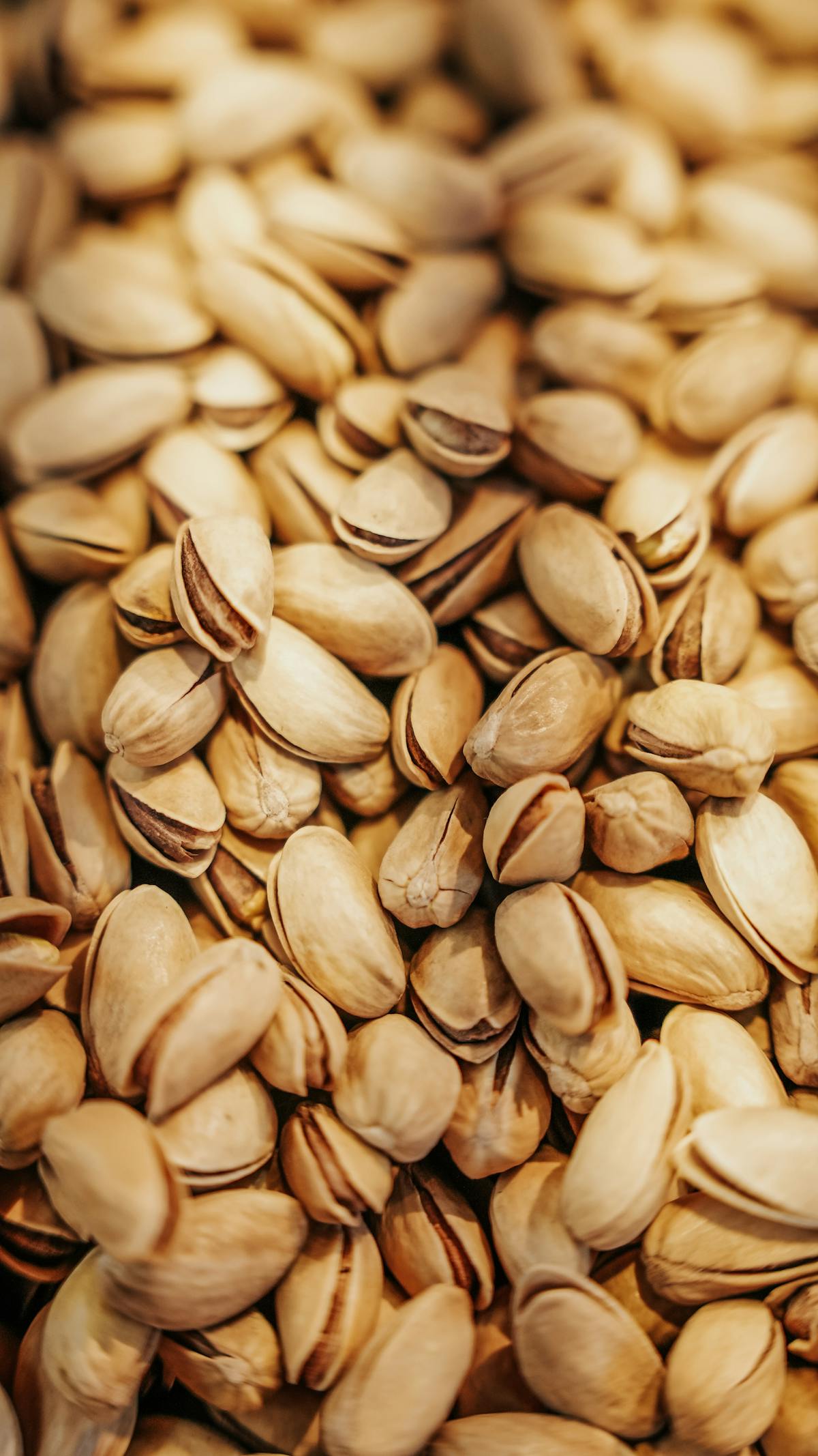 Pistachio Tree Photos, Download The BEST Free Pistachio Tree Stock ...