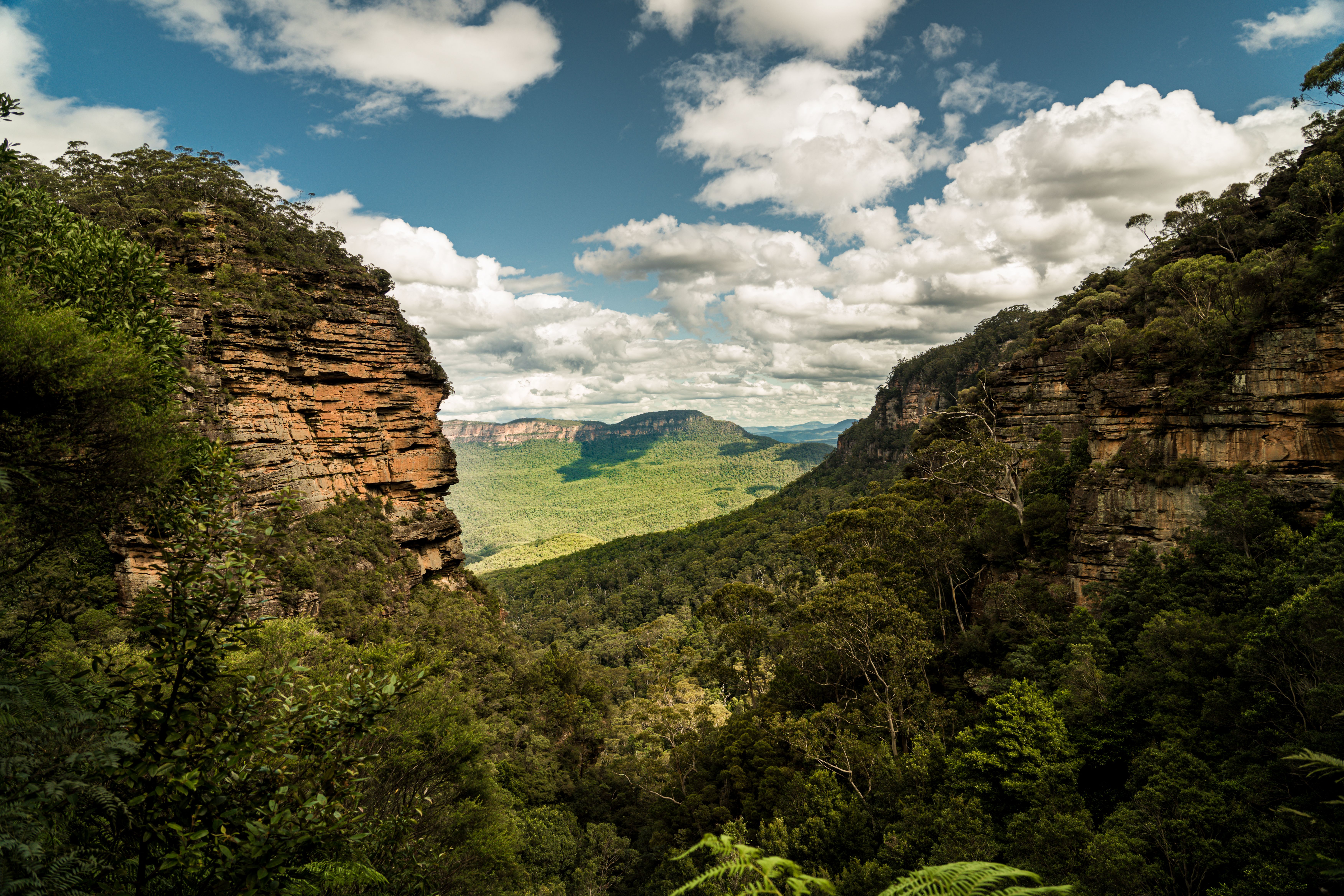 Scenic View of the Blue Mountains, New South Wales, Australia · Free ...