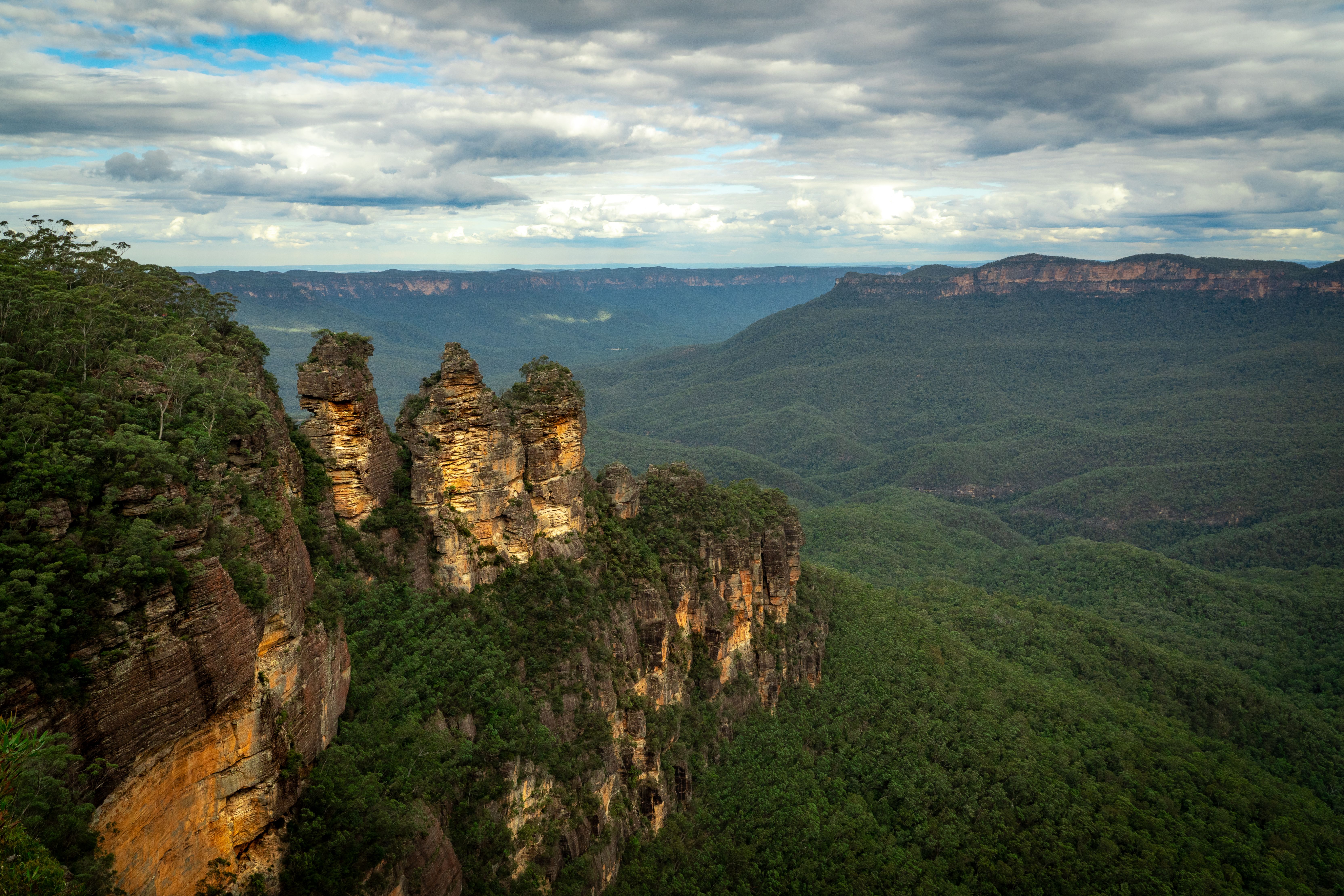 Blue Mountains National Park in Summer · Free Stock Photo