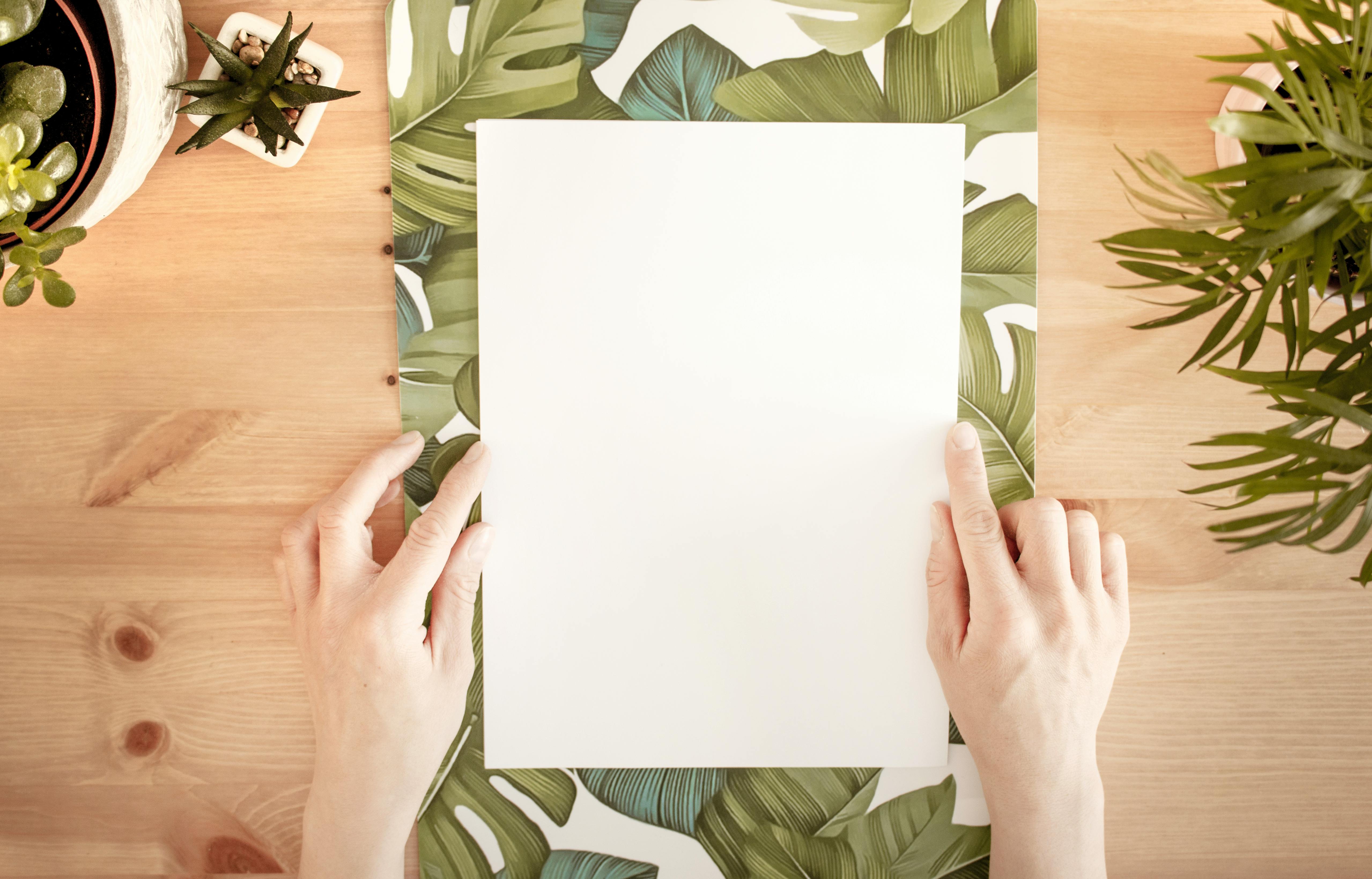 Blank Paper Photos, Download The BEST Free Blank Paper Stock Photos ...