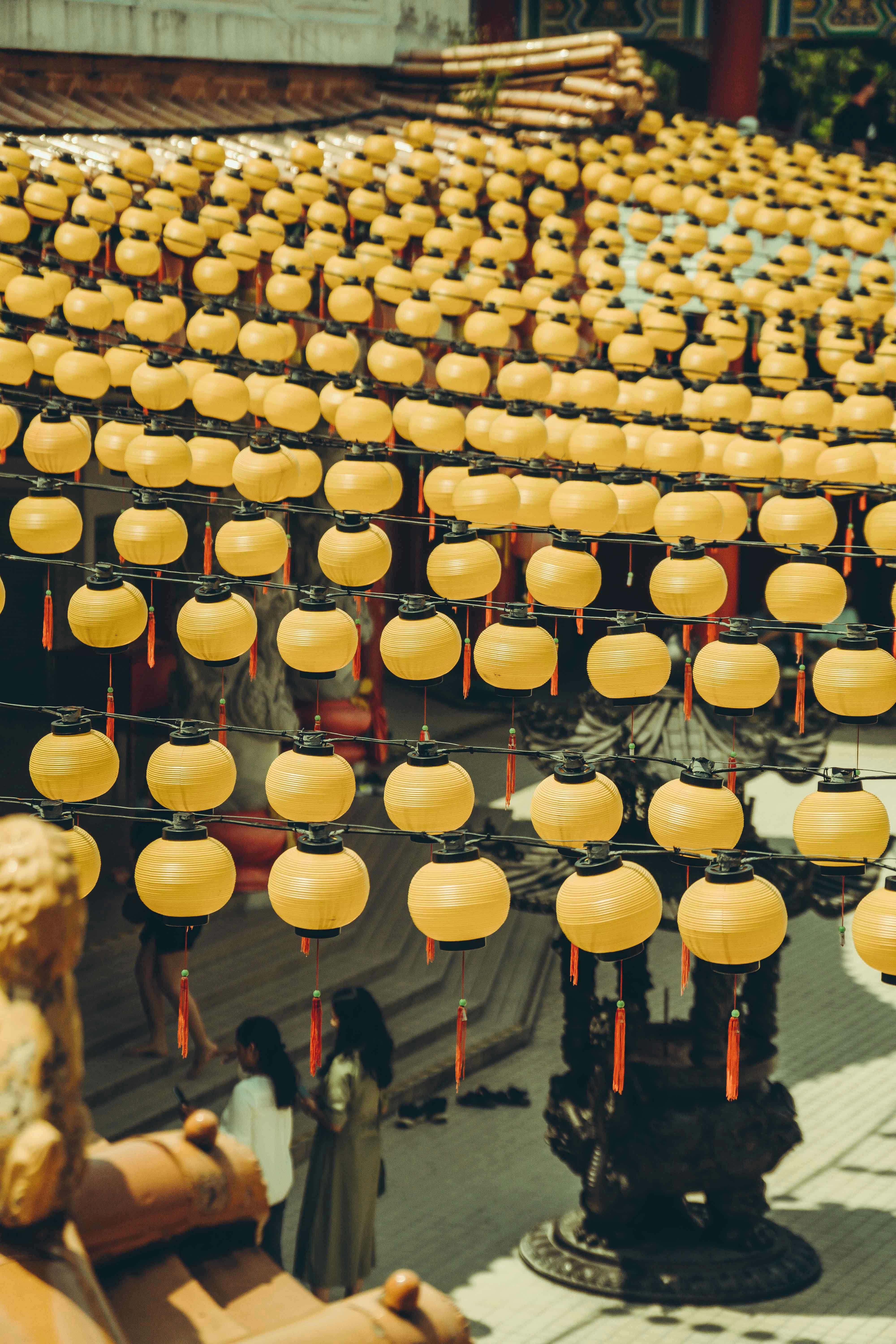 Stand Up Photos, Download The BEST Free Stand Up Stock Photos & HD Images