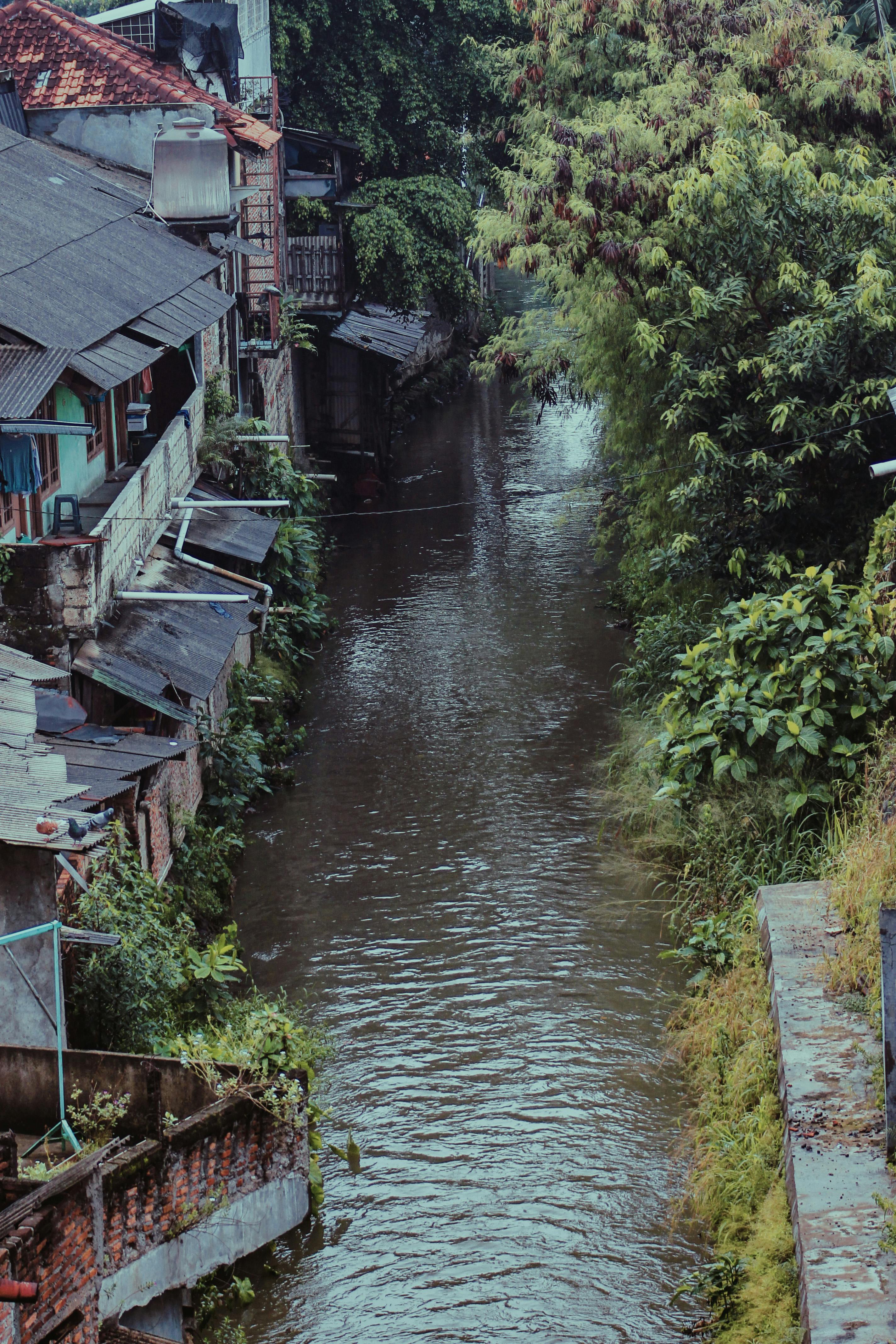 River in Village · Free Stock Photo