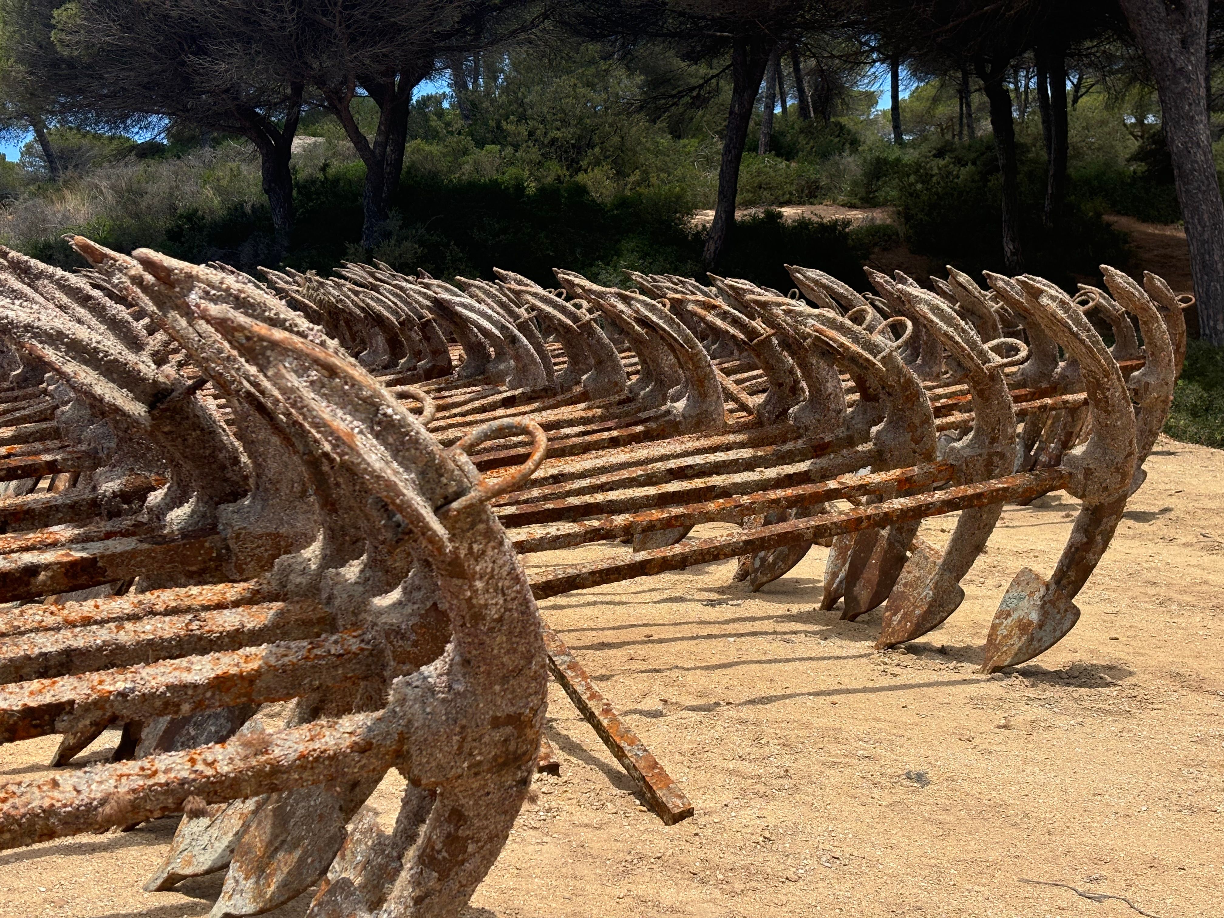 Rusty, Abandoned Anchors at Beach · Free Stock Photo