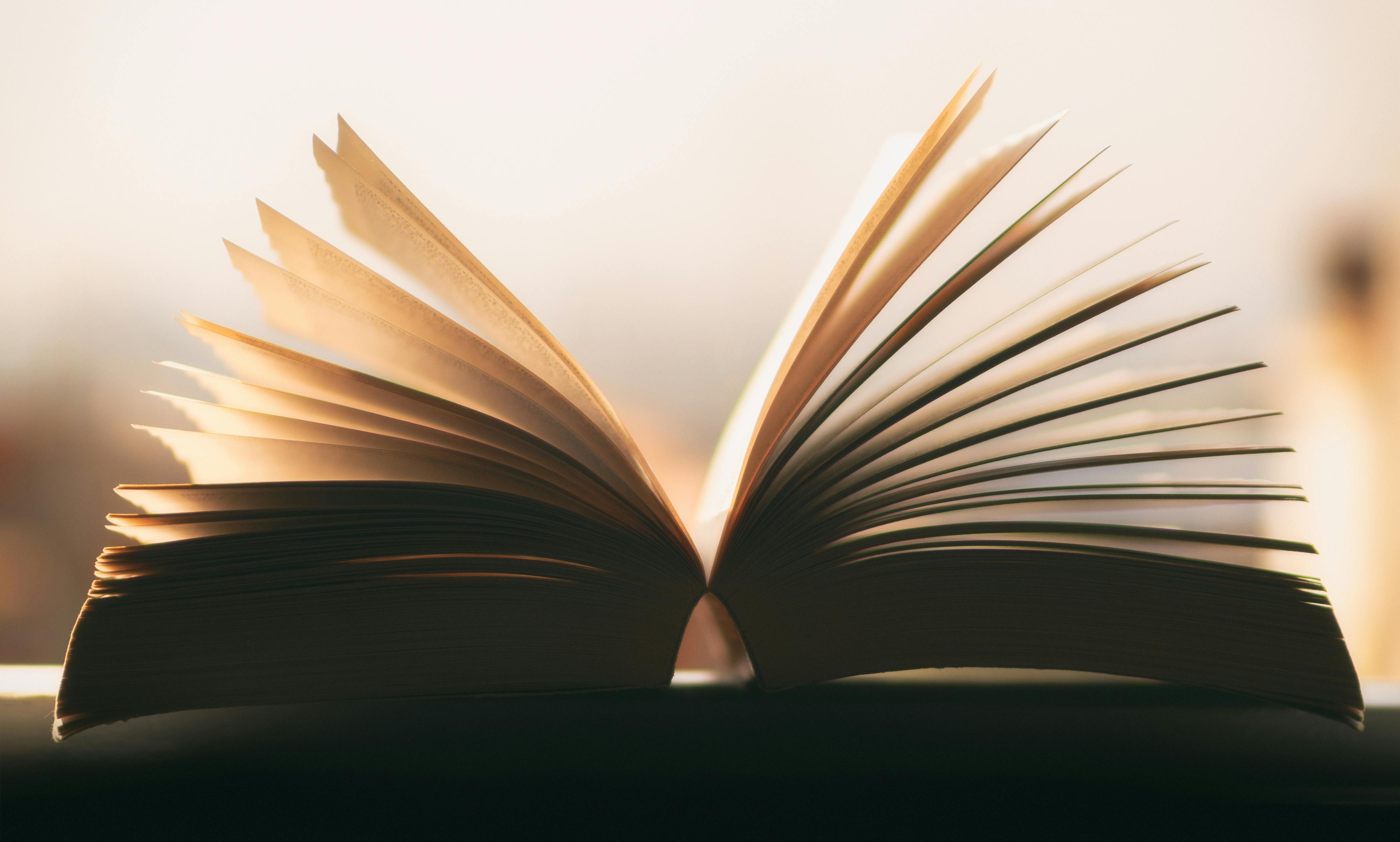 Open Book With String Lights · Free Stock Photo