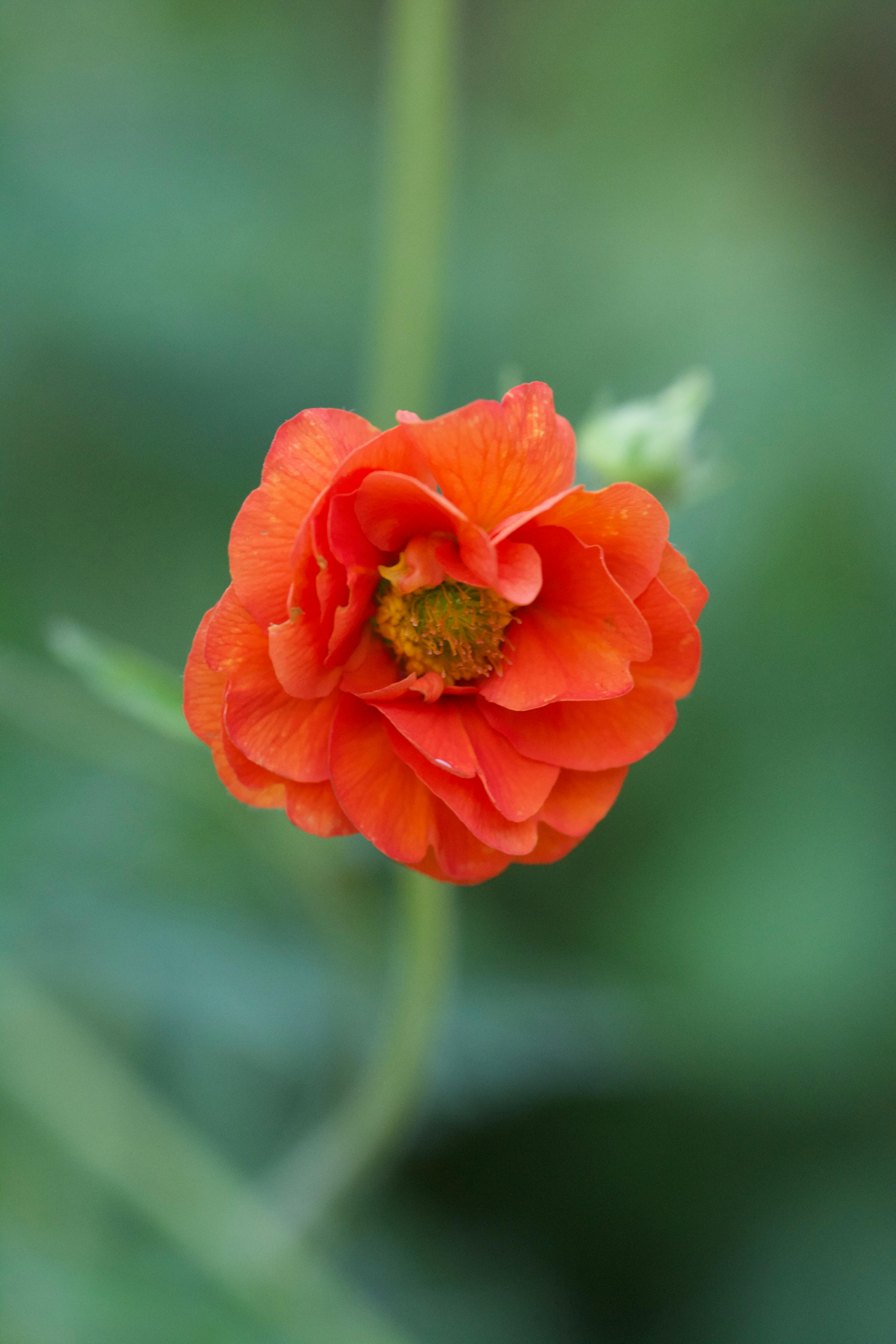 Beepee Patel - Photography