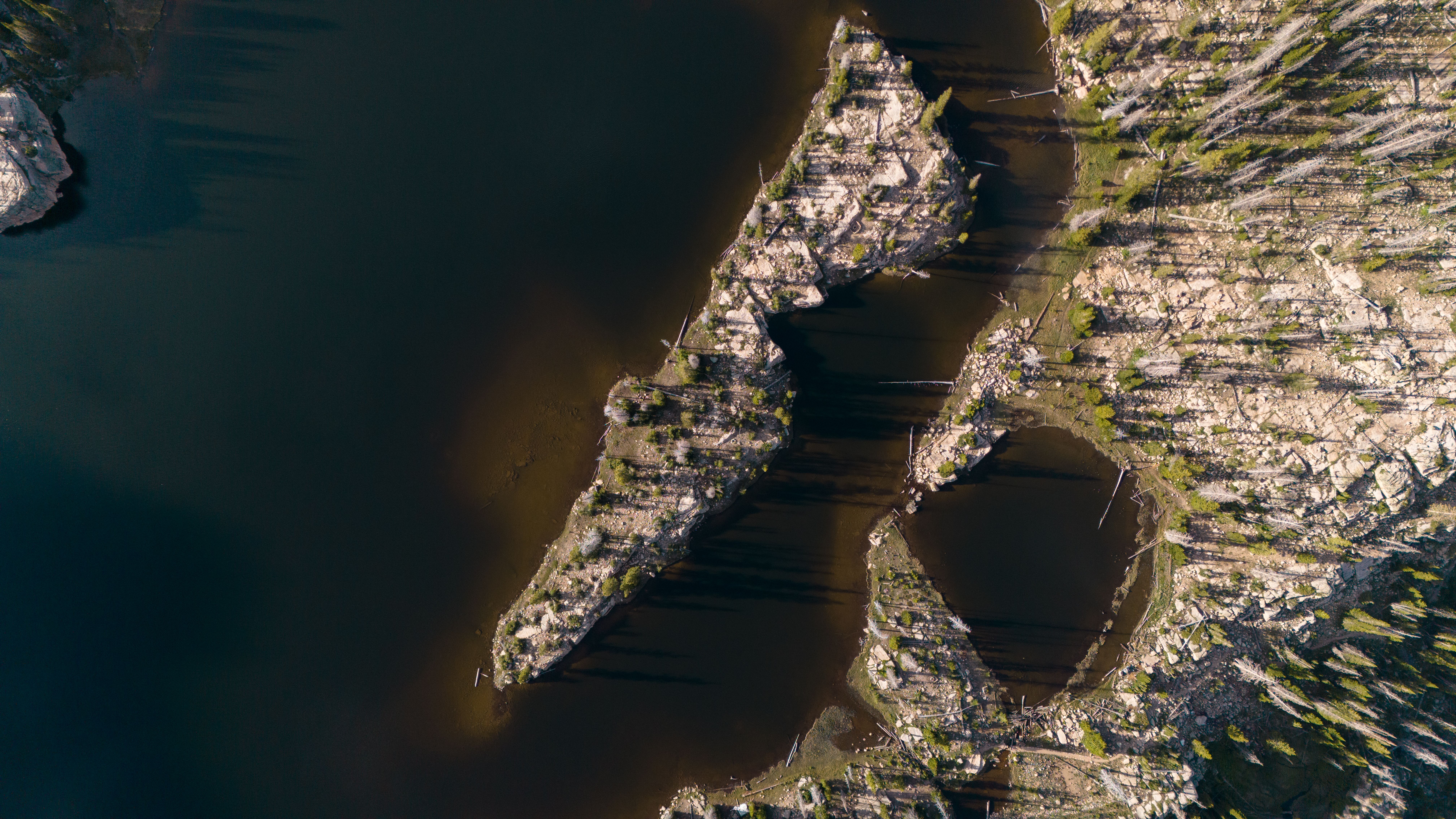 Aerial View of Trees Growing on Island by Lake Shore · Free Stock Photo