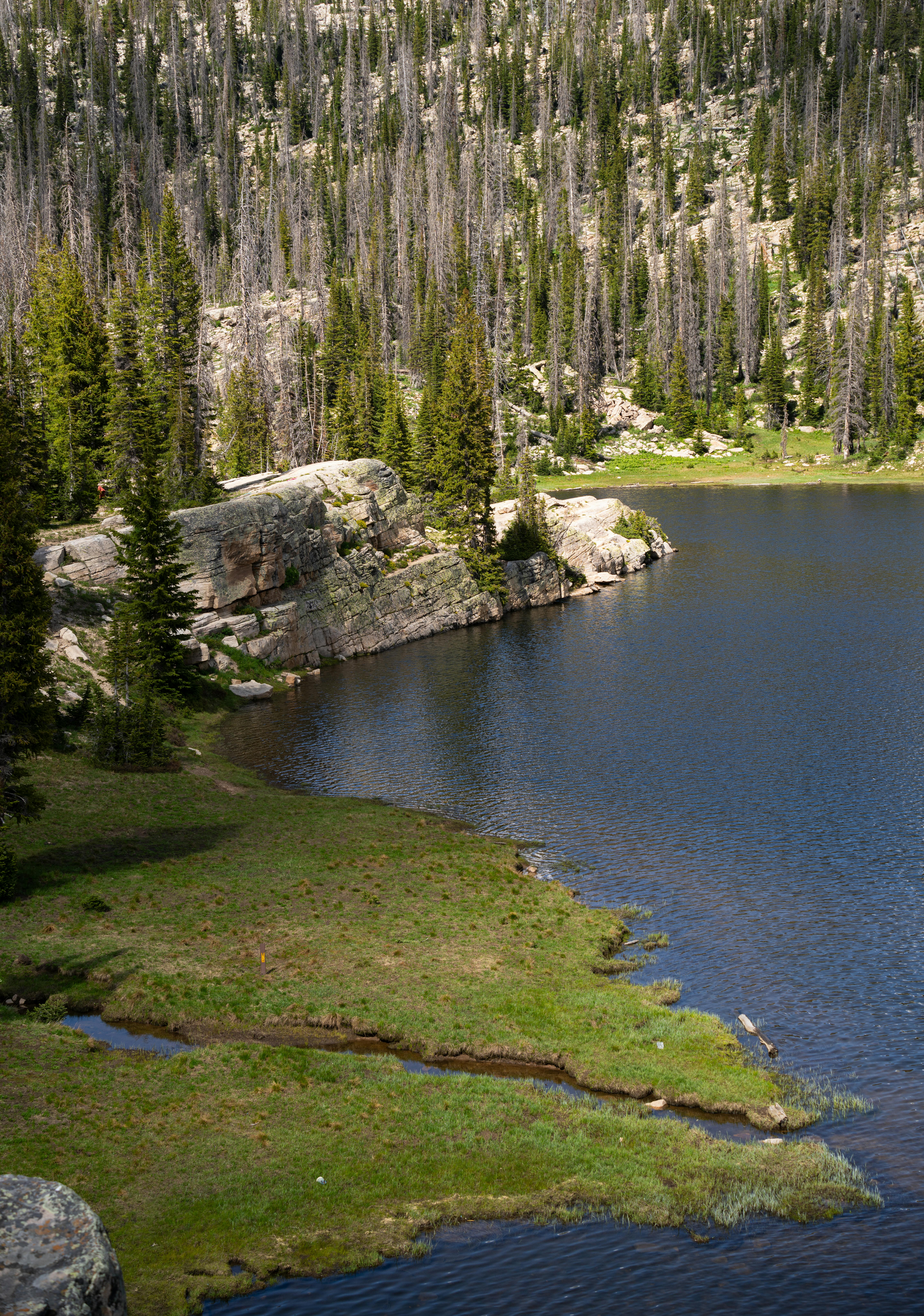 Aerial View of Lake Shore in Mountains · Free Stock Photo