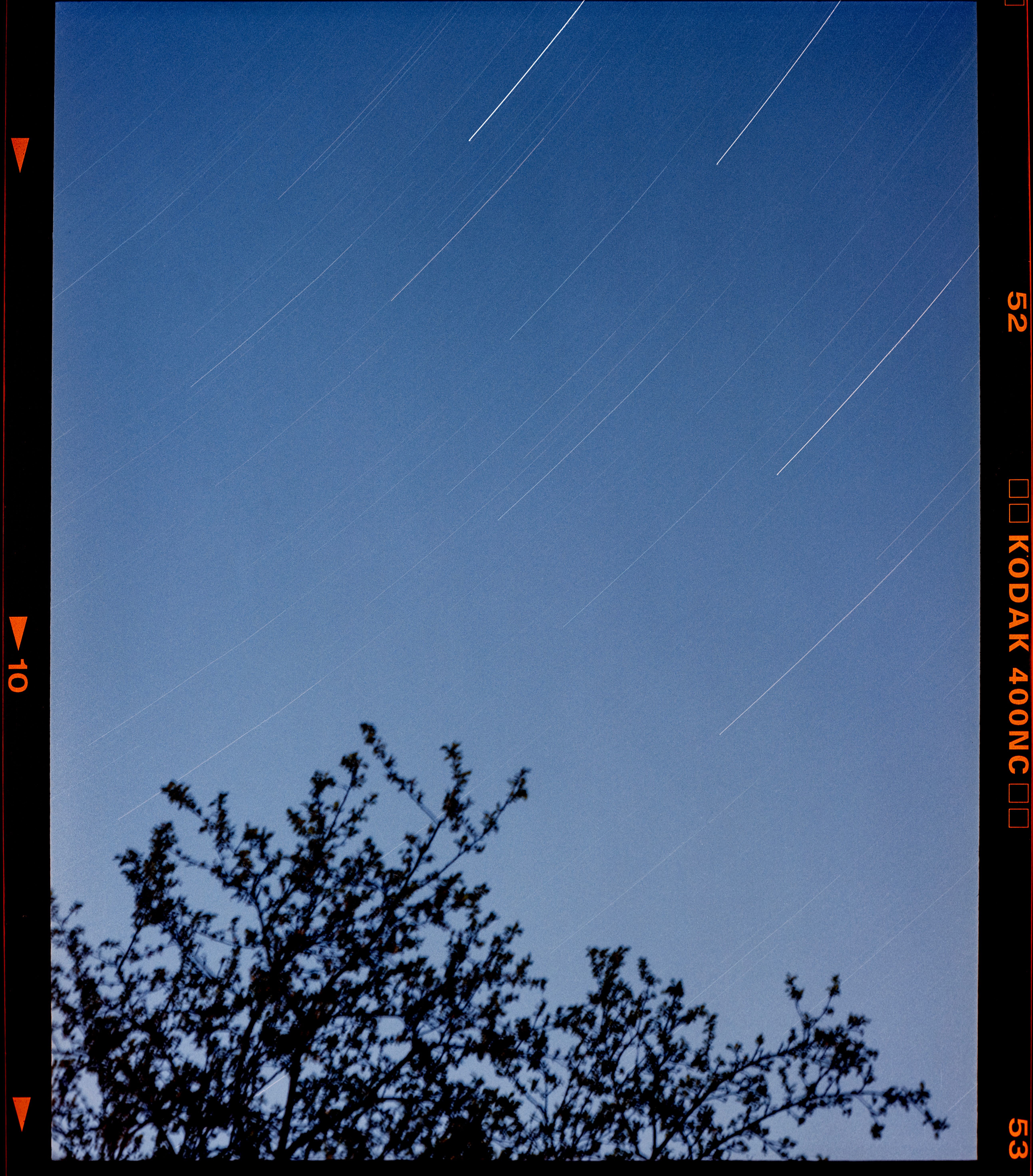 Stars in Long Exposure · Free Stock Photo