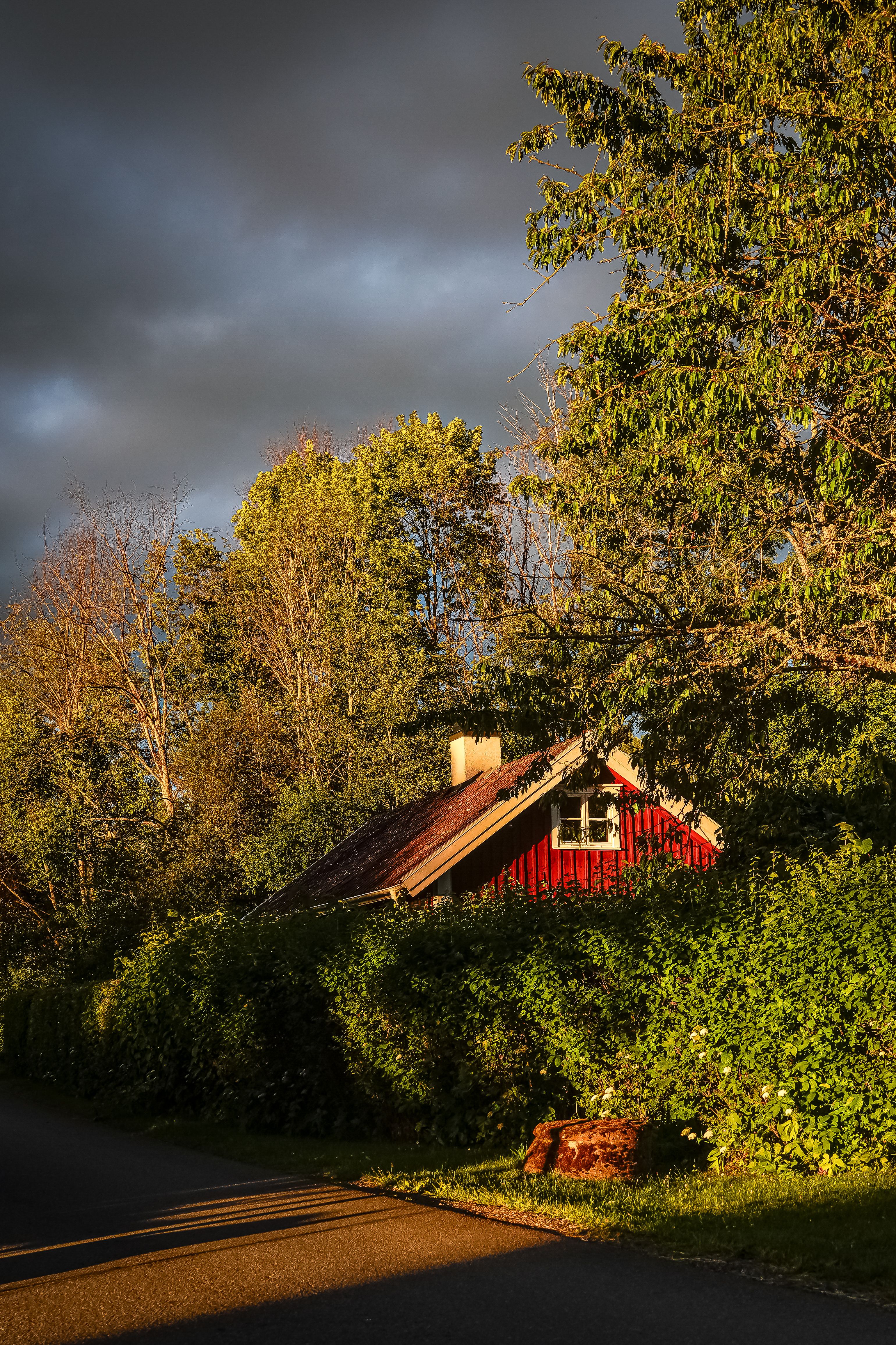 Barn Among Shrubs During Sunset · Free Stock Photo