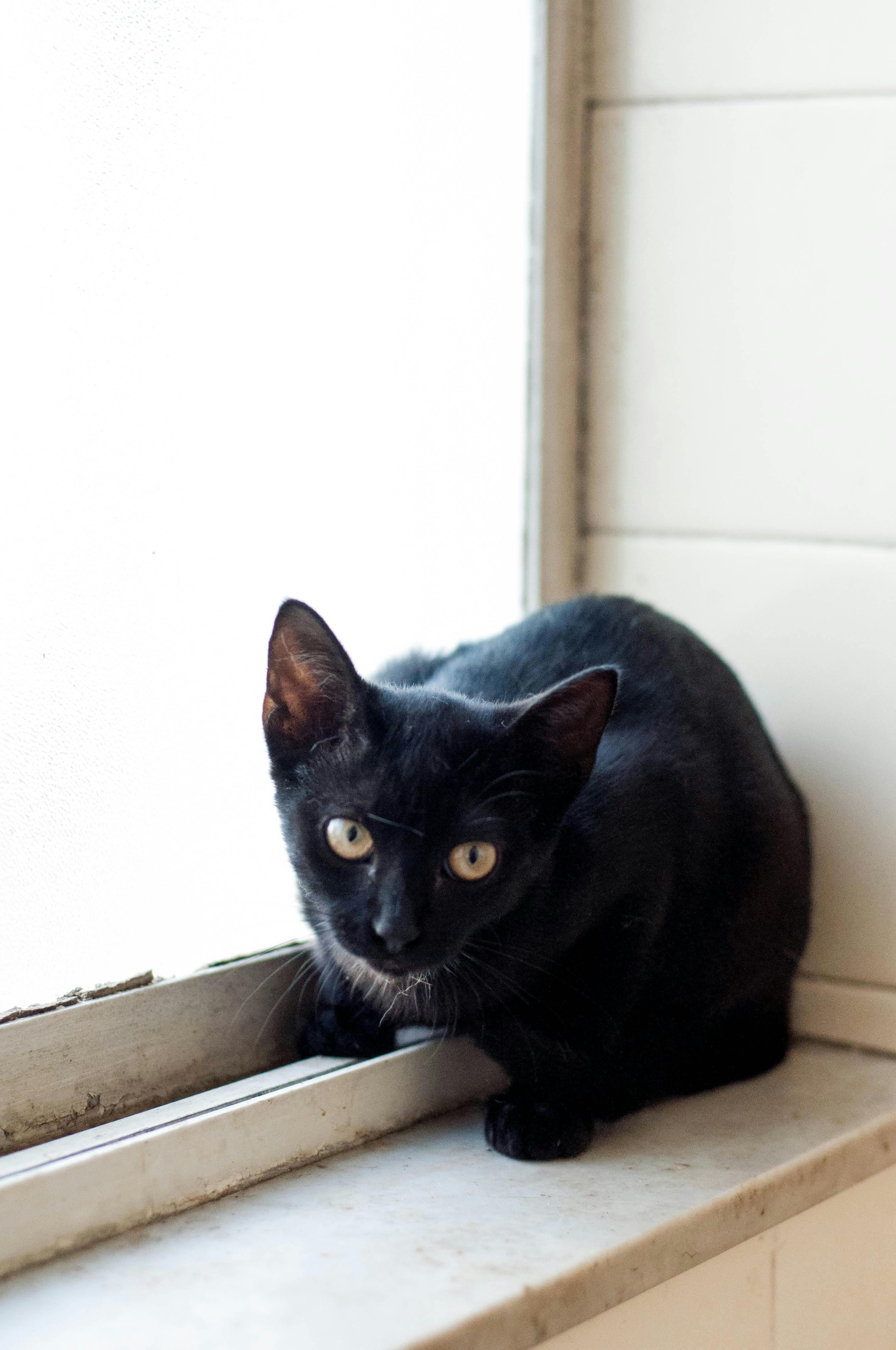 Amanda Valverde - Photography