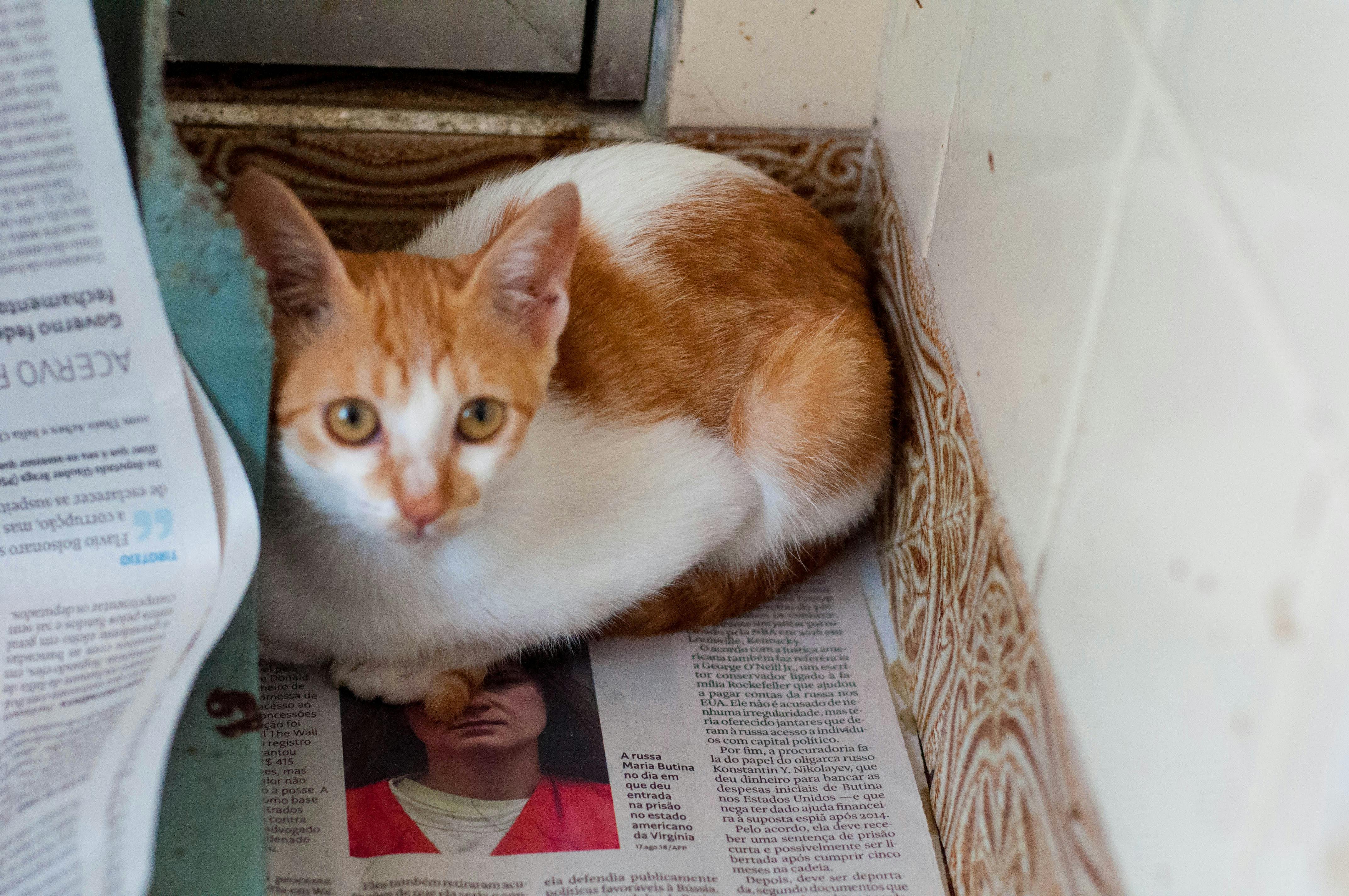 Amanda Valverde - Photography