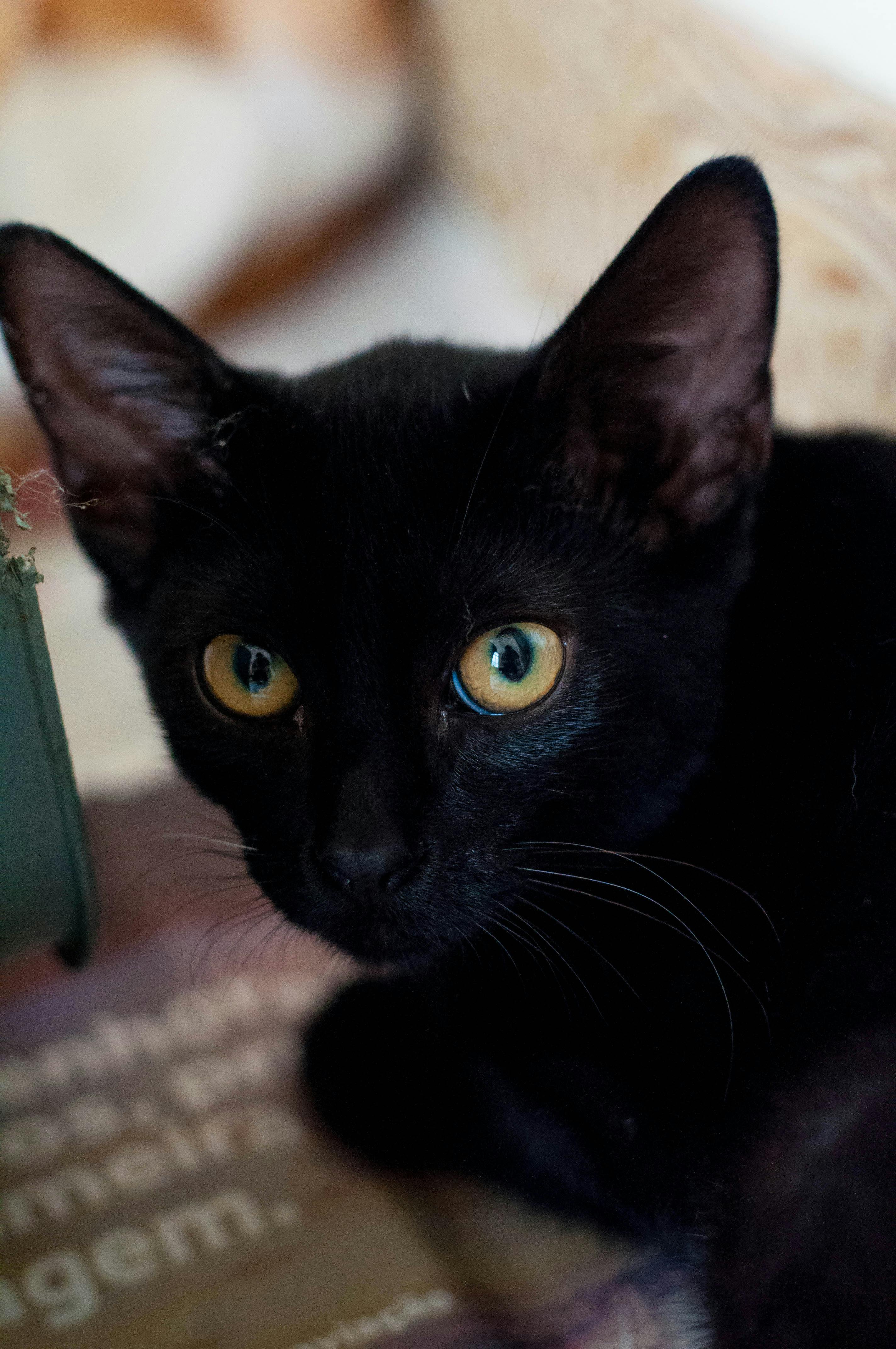 Amanda Valverde - Photography