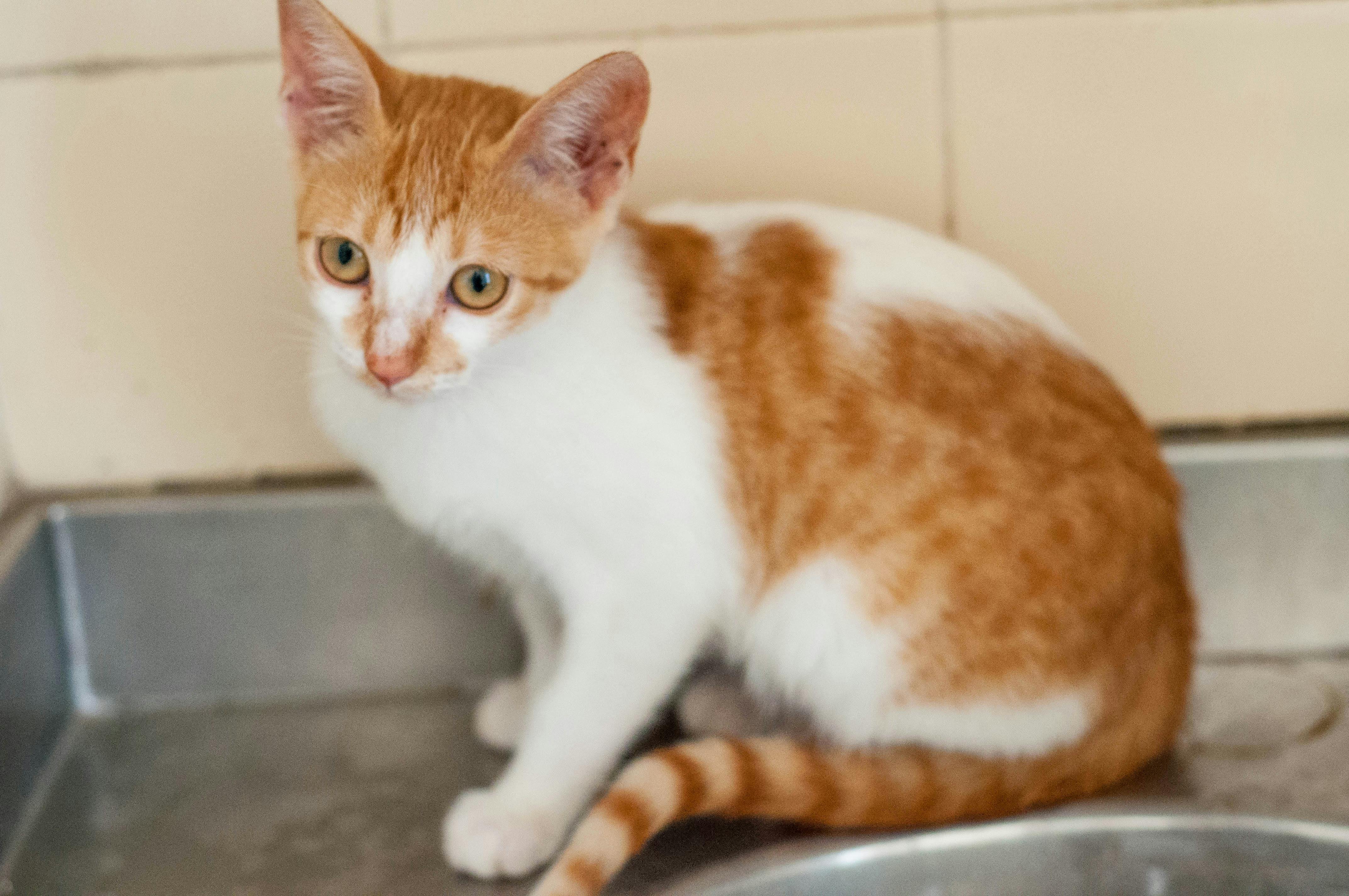 Amanda Valverde - Photography