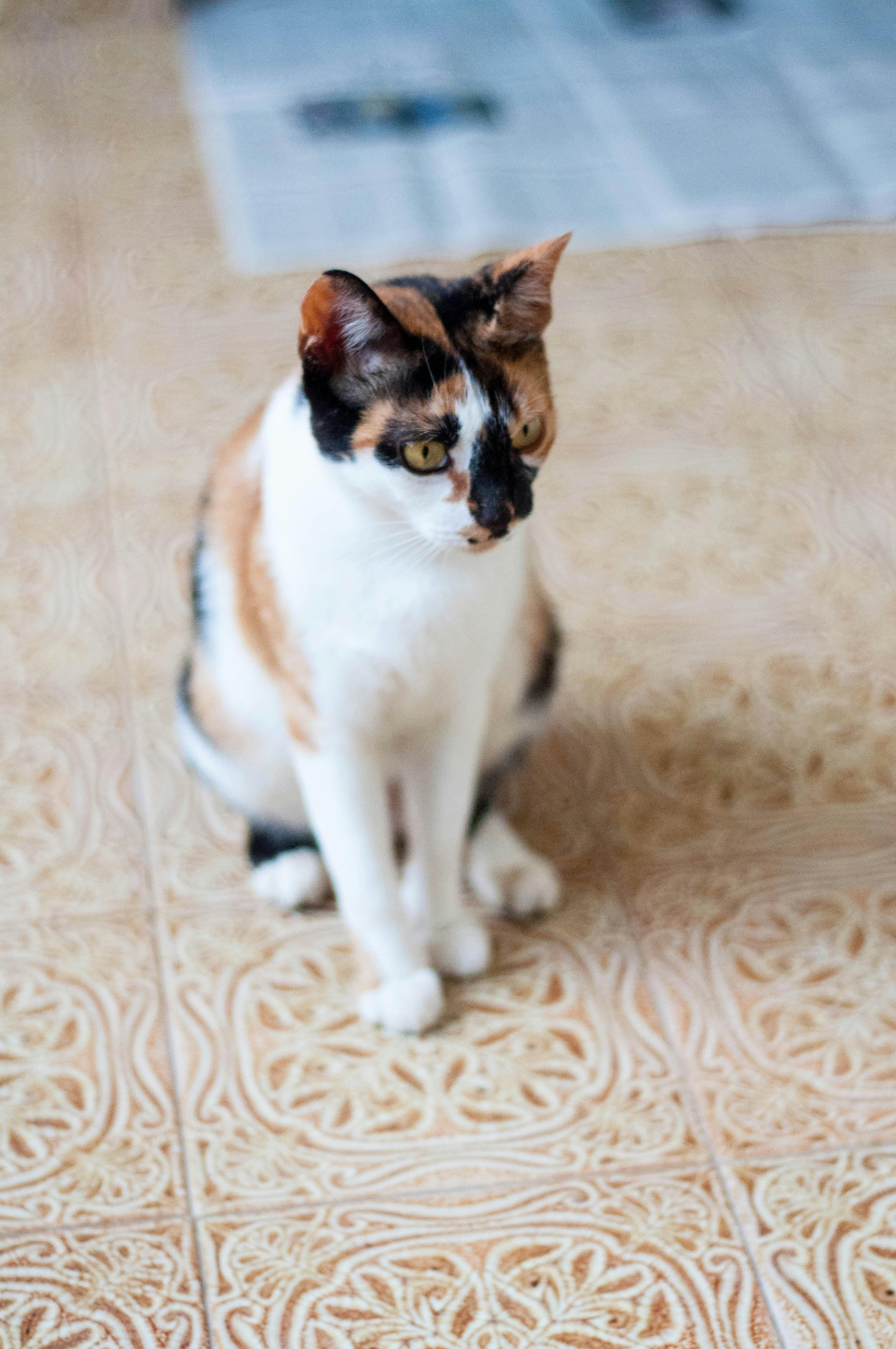 Amanda Valverde - Photography