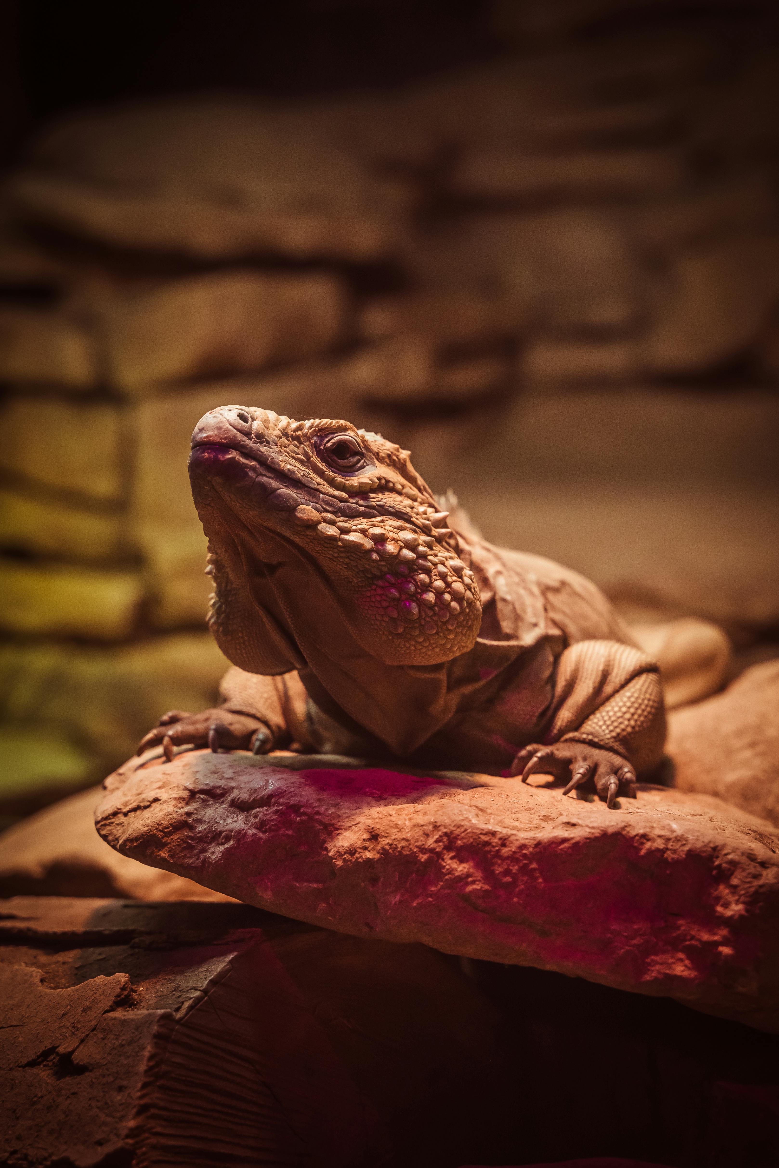 Balanced Rock Scales Photos, Download The BEST Free Balanced Rock ...