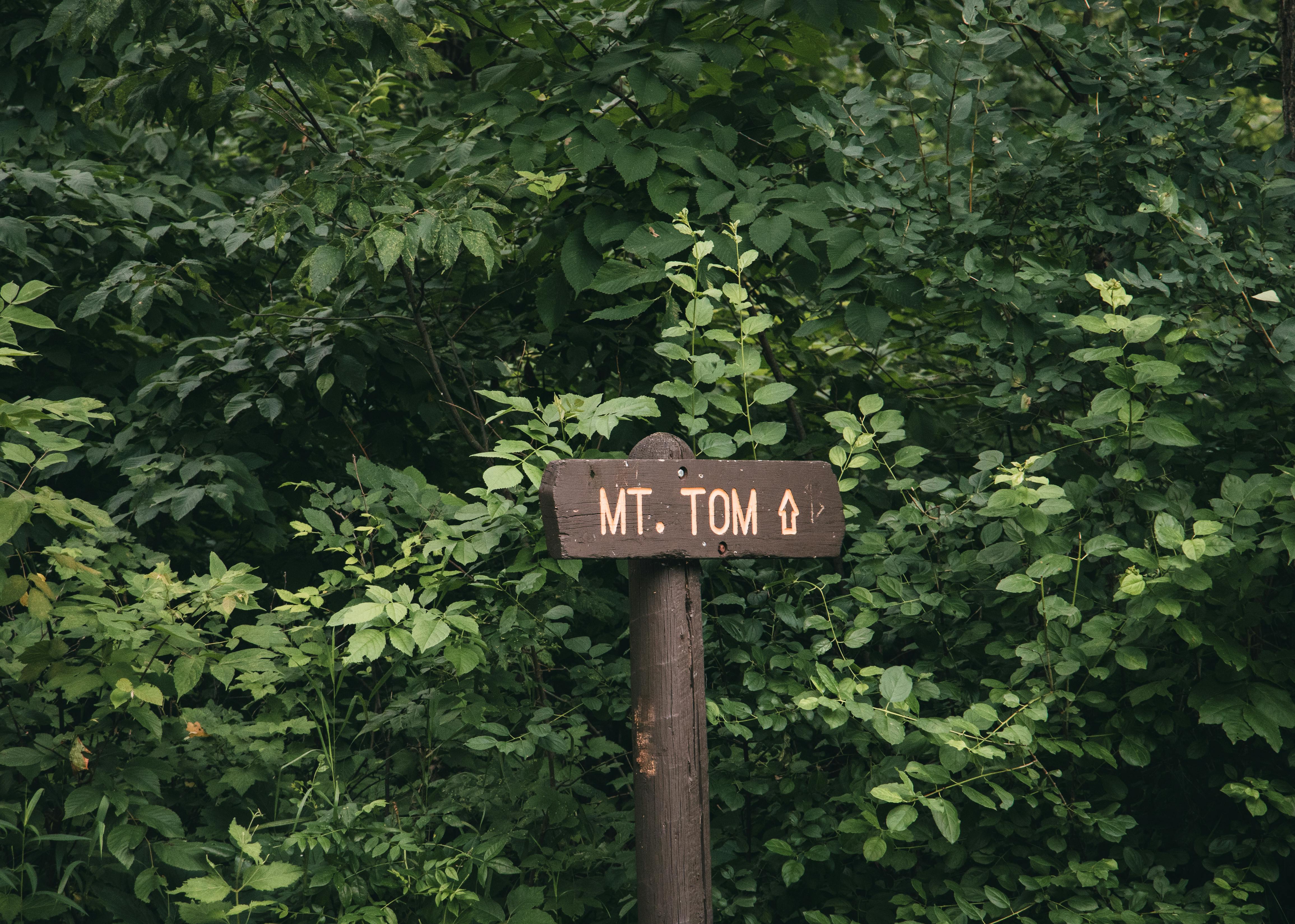 Trek Sign Photos, Download The BEST Free Trek Sign Stock Photos & HD Images