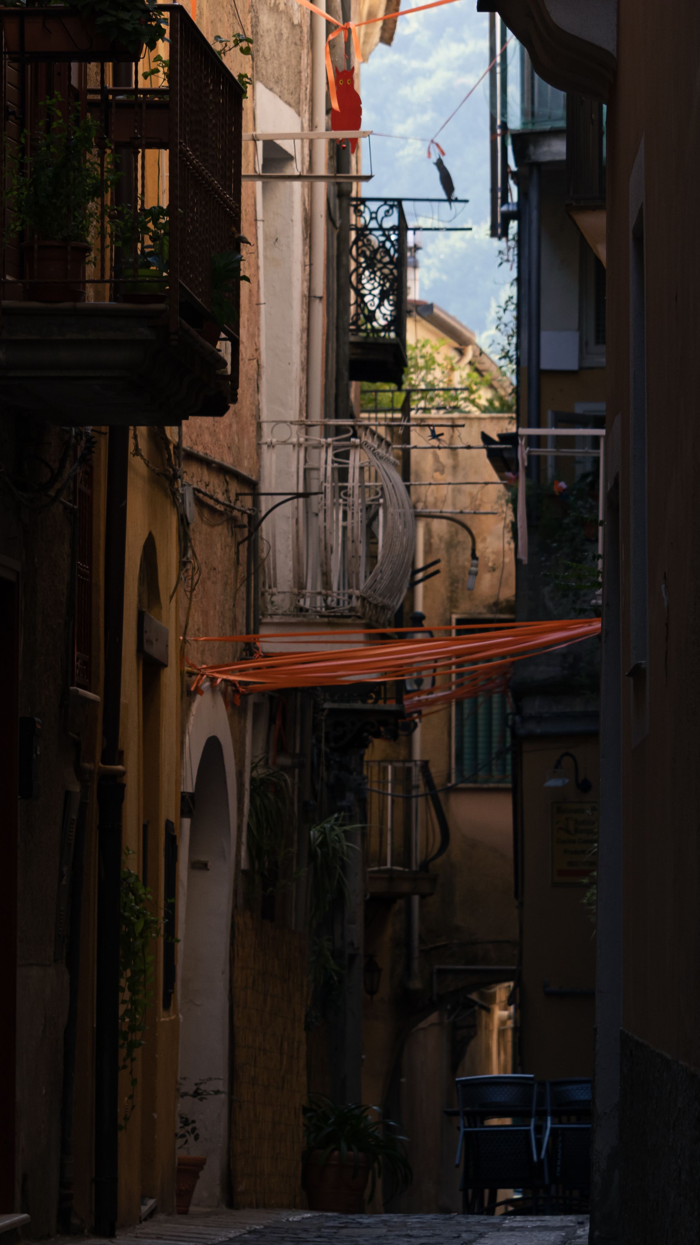 Giovanni - Photography