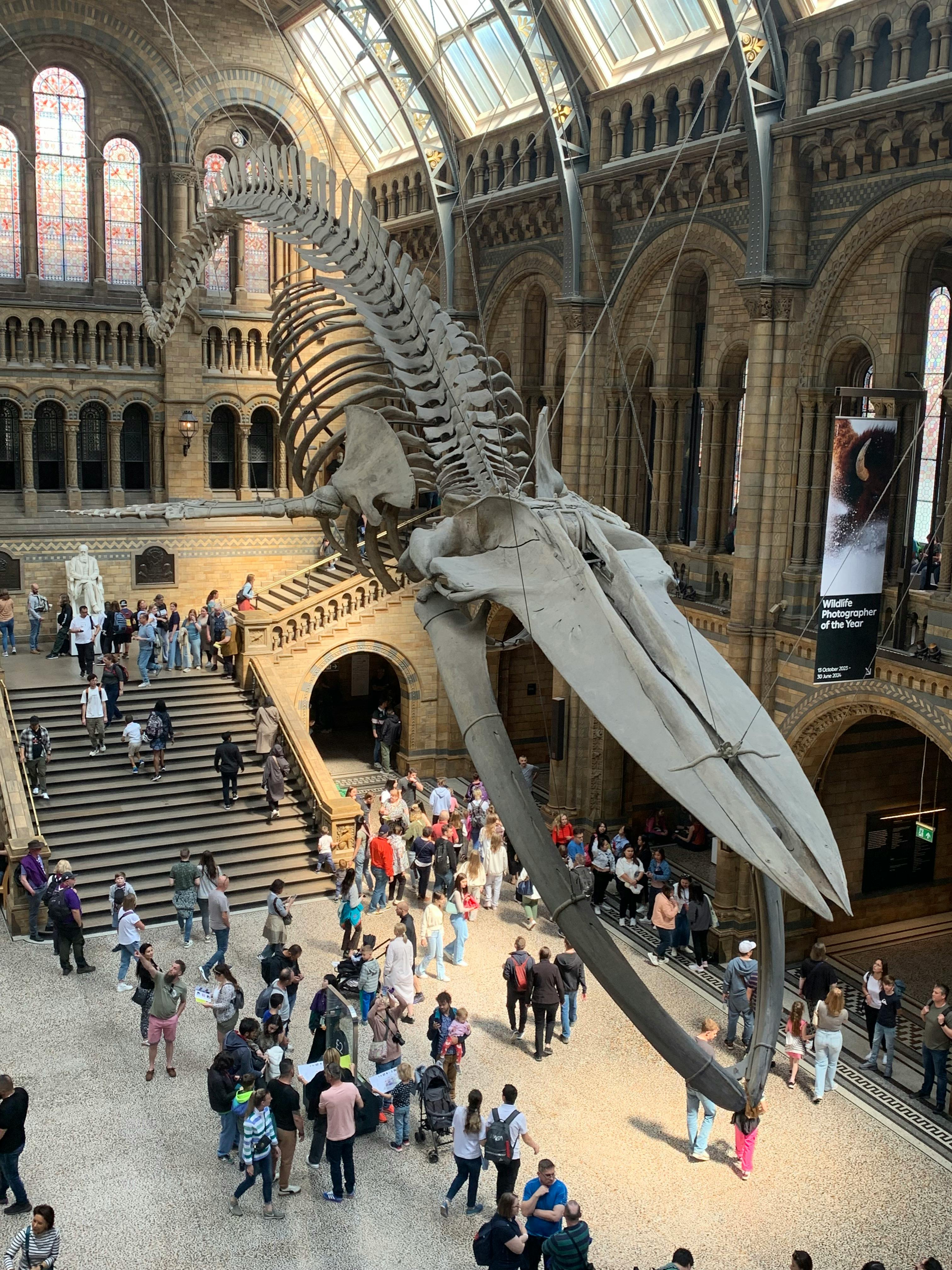 Imagine de stoc gratuită cu #de interior, aglomerație, anglia ...