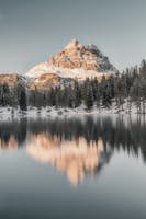 Free Stock Photos, Royalty Free Stock Images & Copyright Free Pictures ...