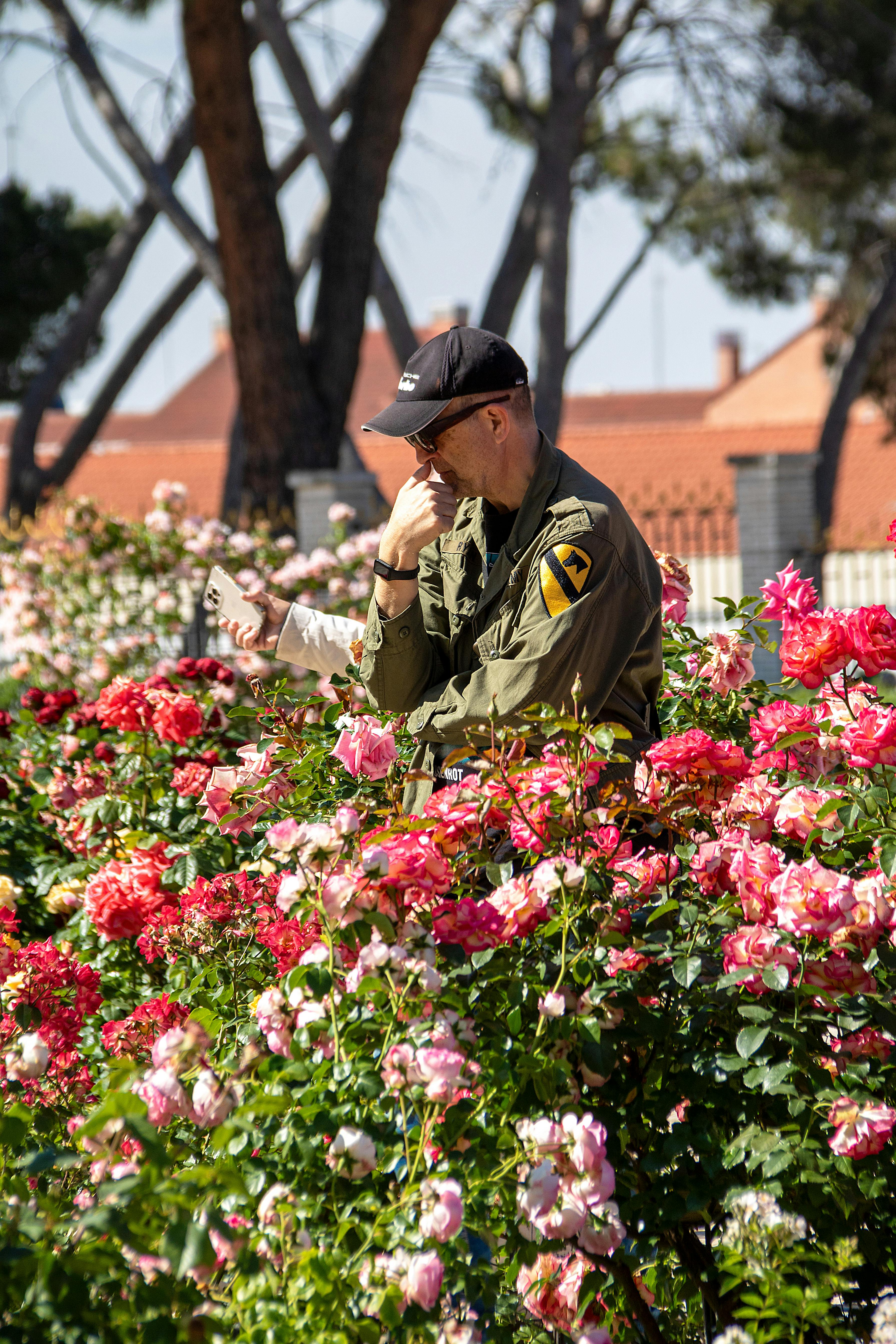 Man in Uniform Standing over Roses Shrub · Free Stock Photo