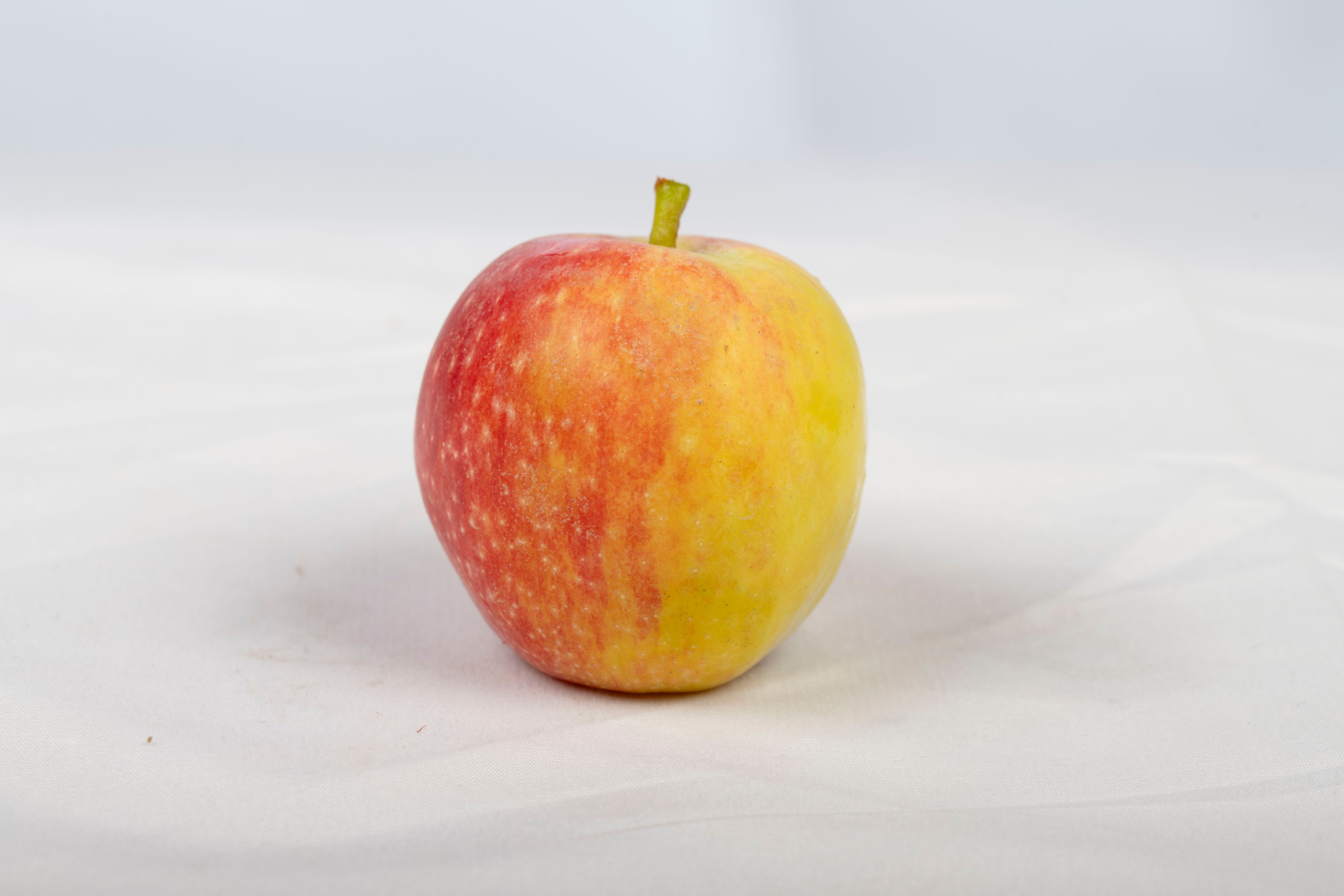 Close-up of an Apple · Free Stock Photo