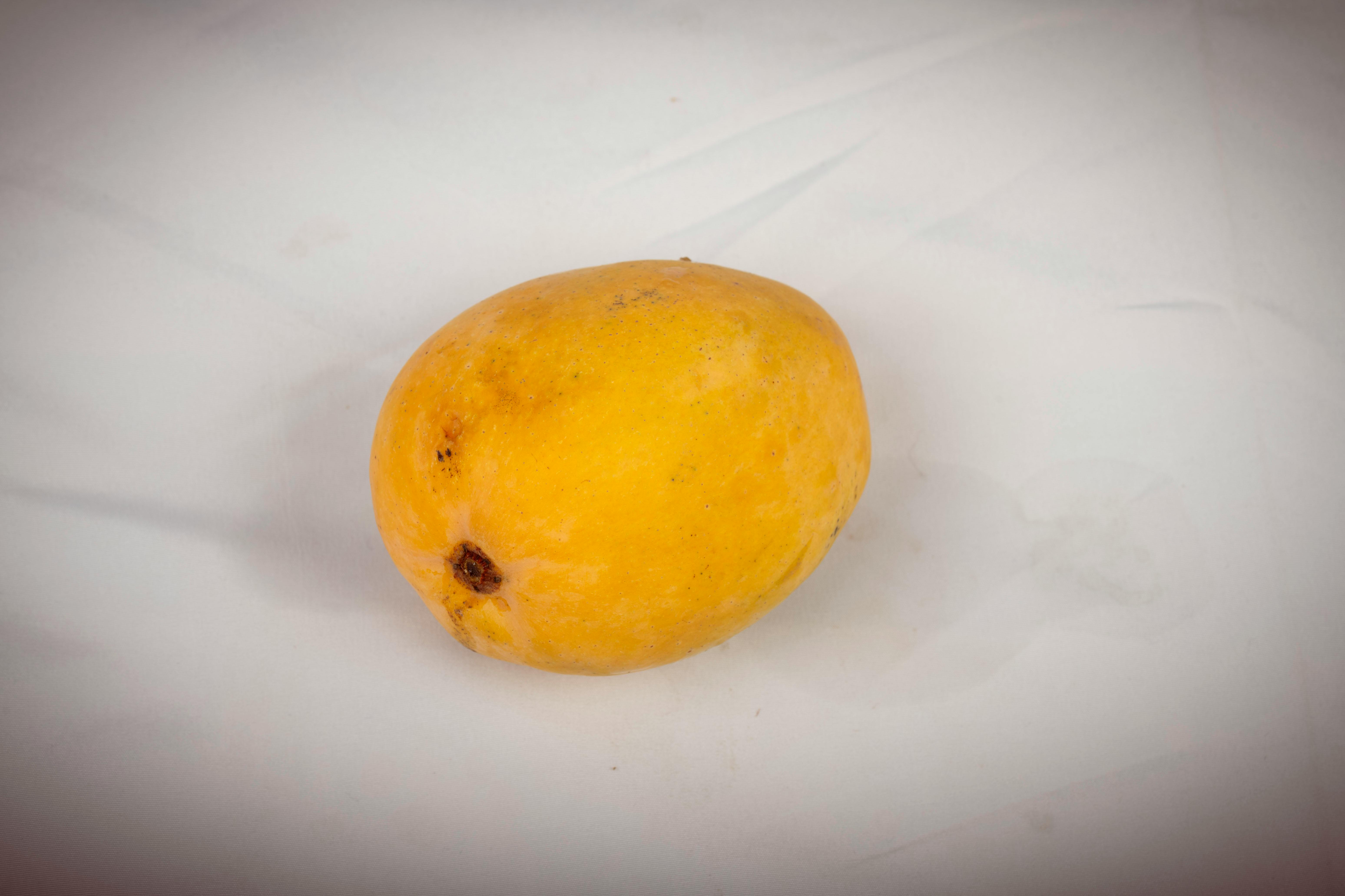 Single Mango Photos, Download The BEST Free Single Mango Stock Photos ...