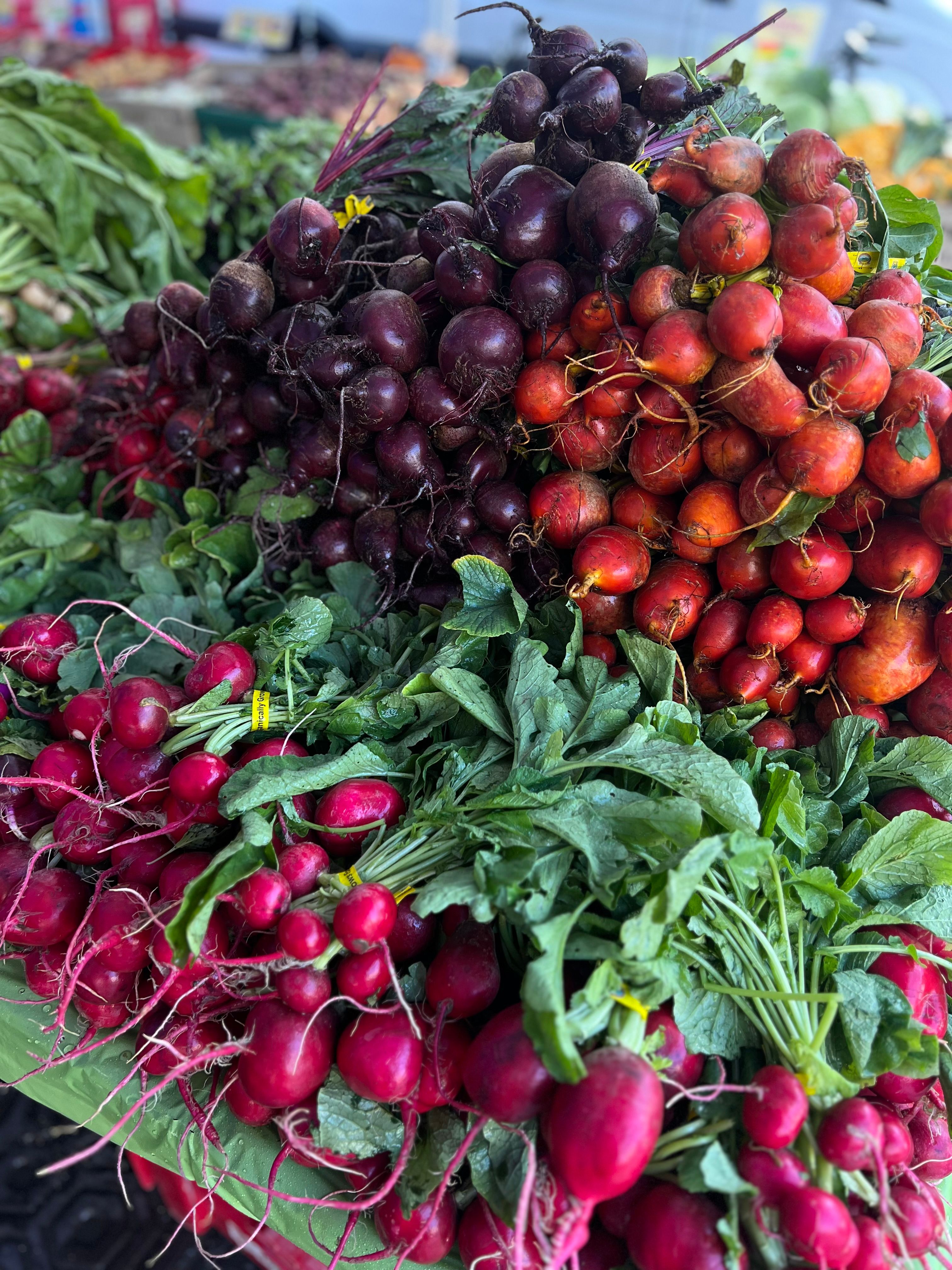 Stack of Fresh Radishes · Free Stock Photo