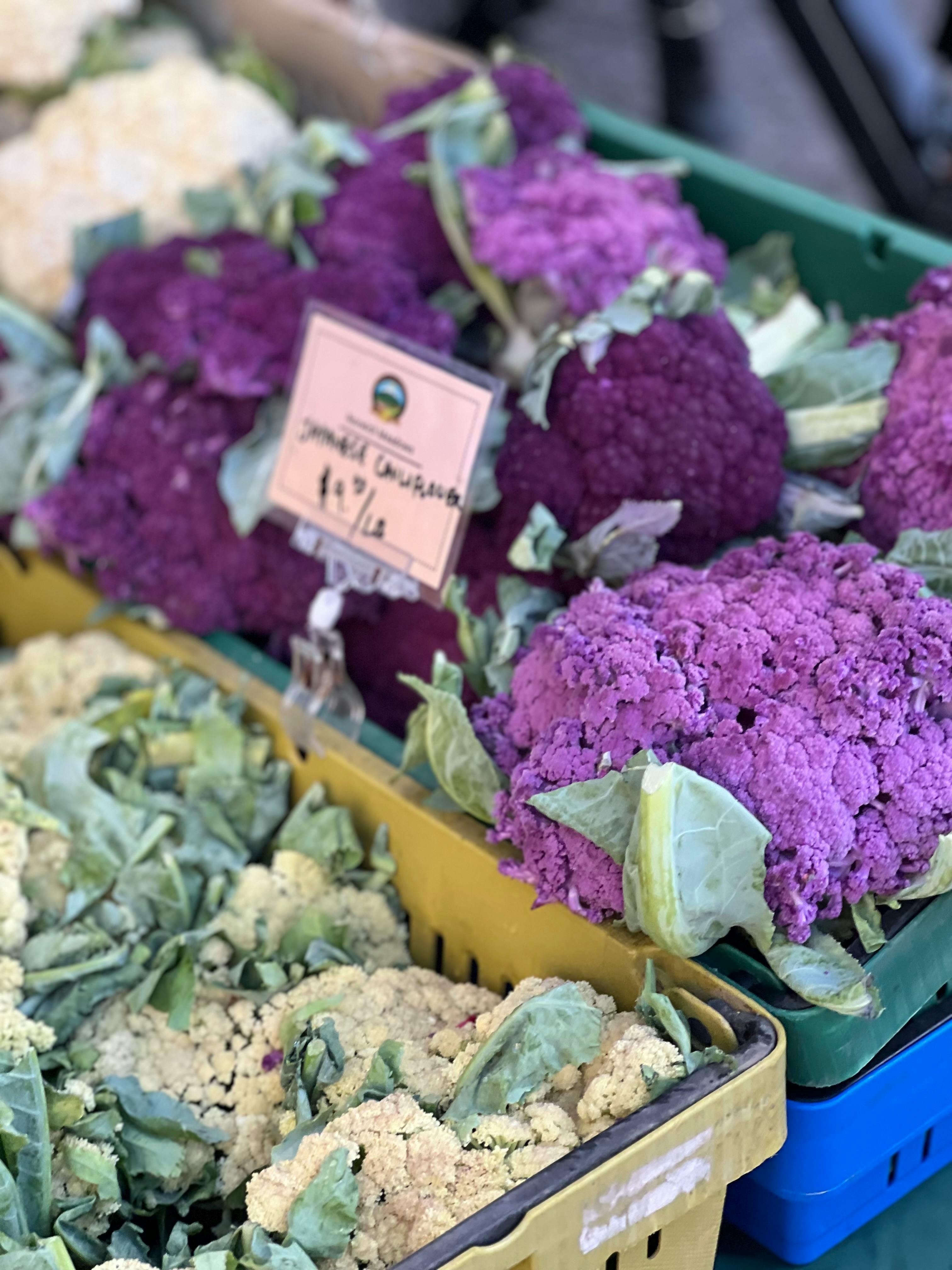 Close-up Photo of Raw Green Beans · Free Stock Photo