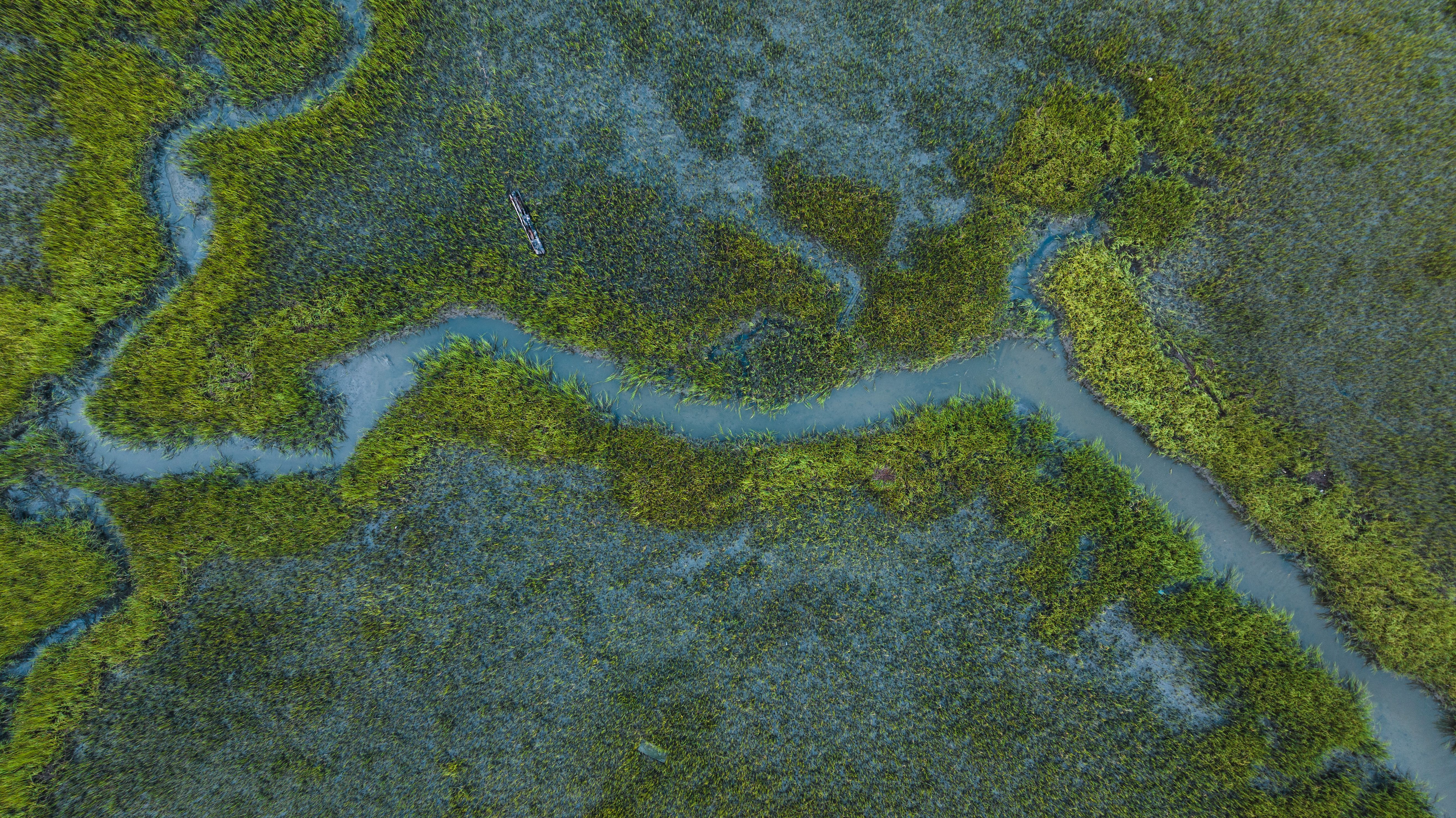 River Flowing Through Lush Green Wetlands · Free Stock Photo