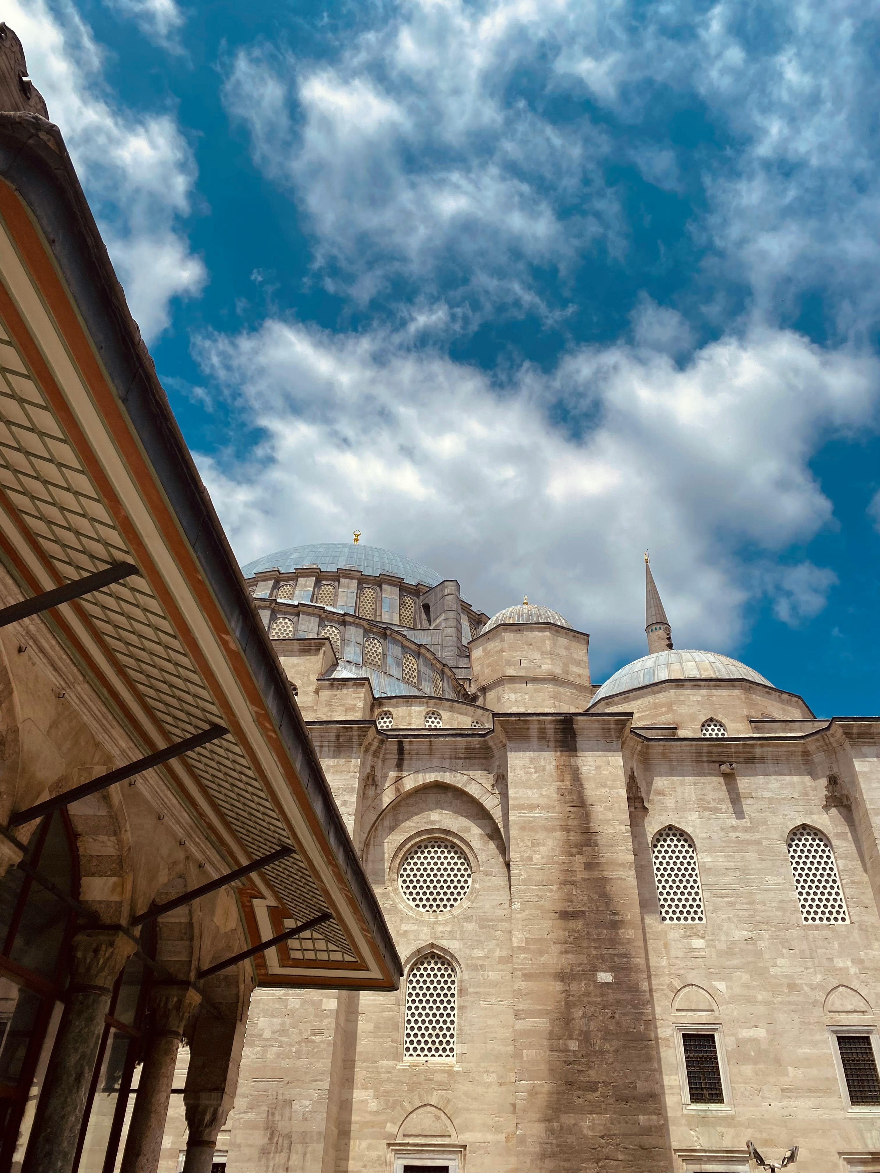 Domination Photos, Download The BEST Free Domination Stock Photos & HD ...