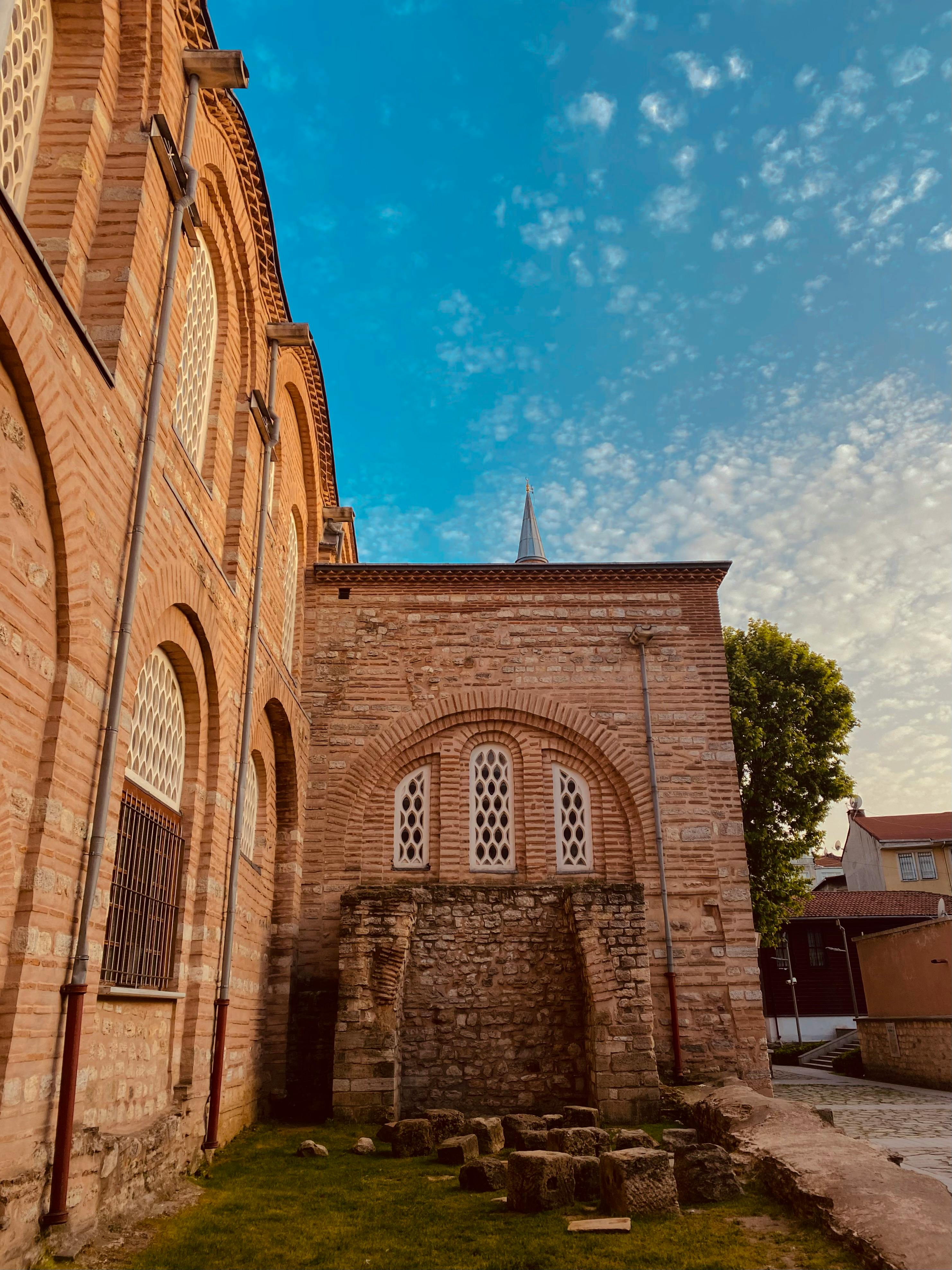 Molla Photos, Download The BEST Free Molla Stock Photos & HD Images