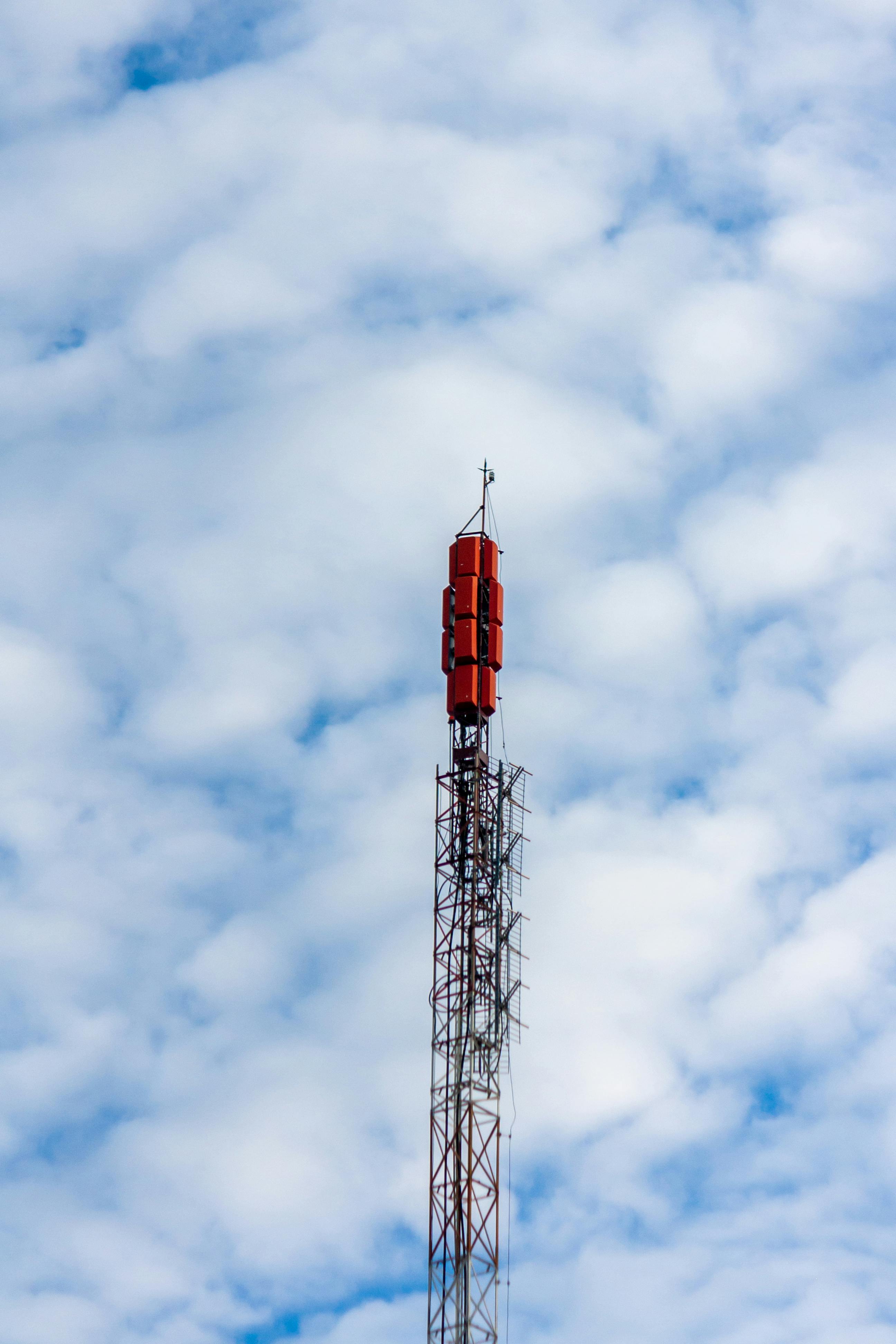 1.000+ melhores imagens de Kitty_ Cell _crime_scene_investigation ...