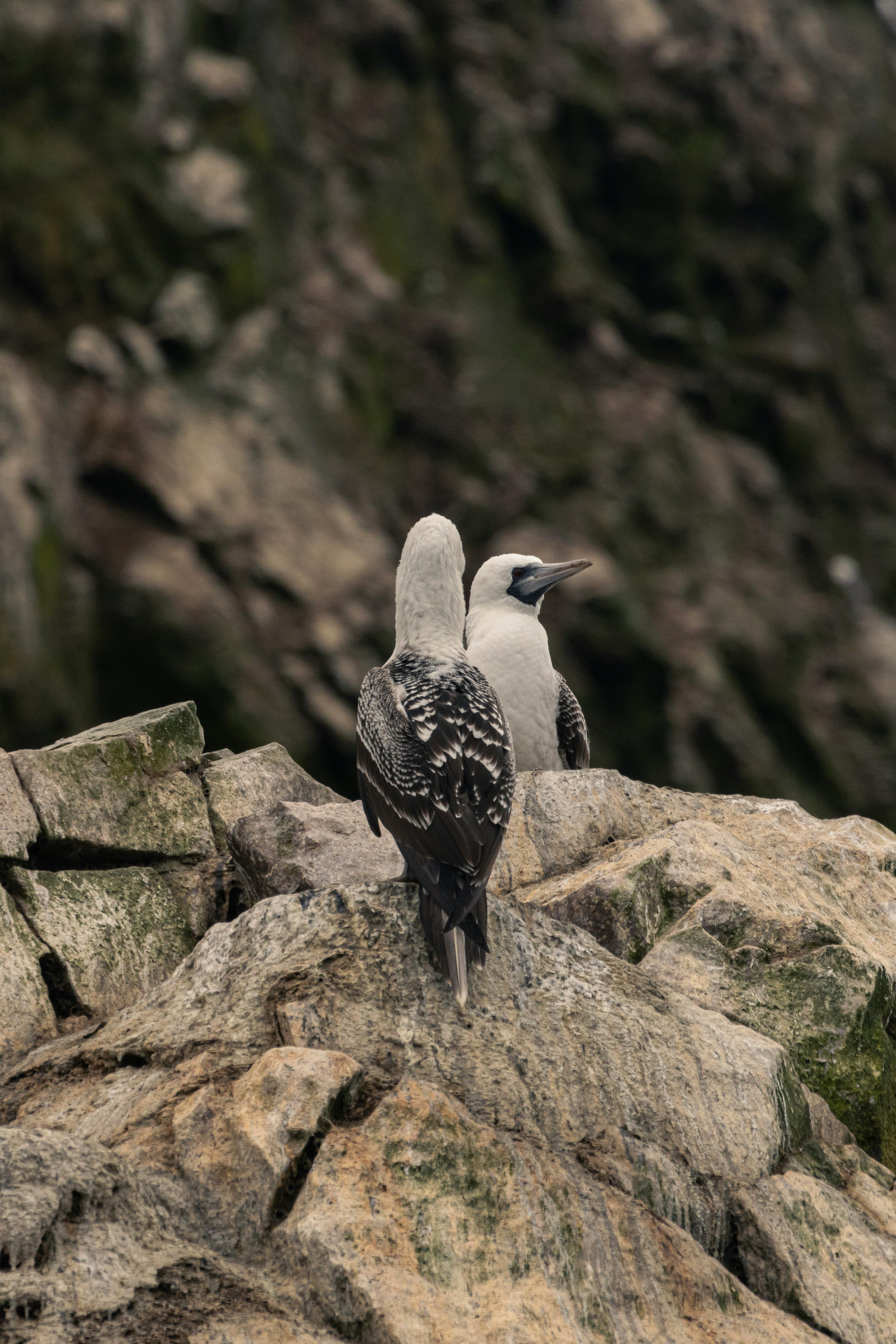 Sula Sehir Photos, Download The BEST Free Sula Sehir Stock Photos & HD ...