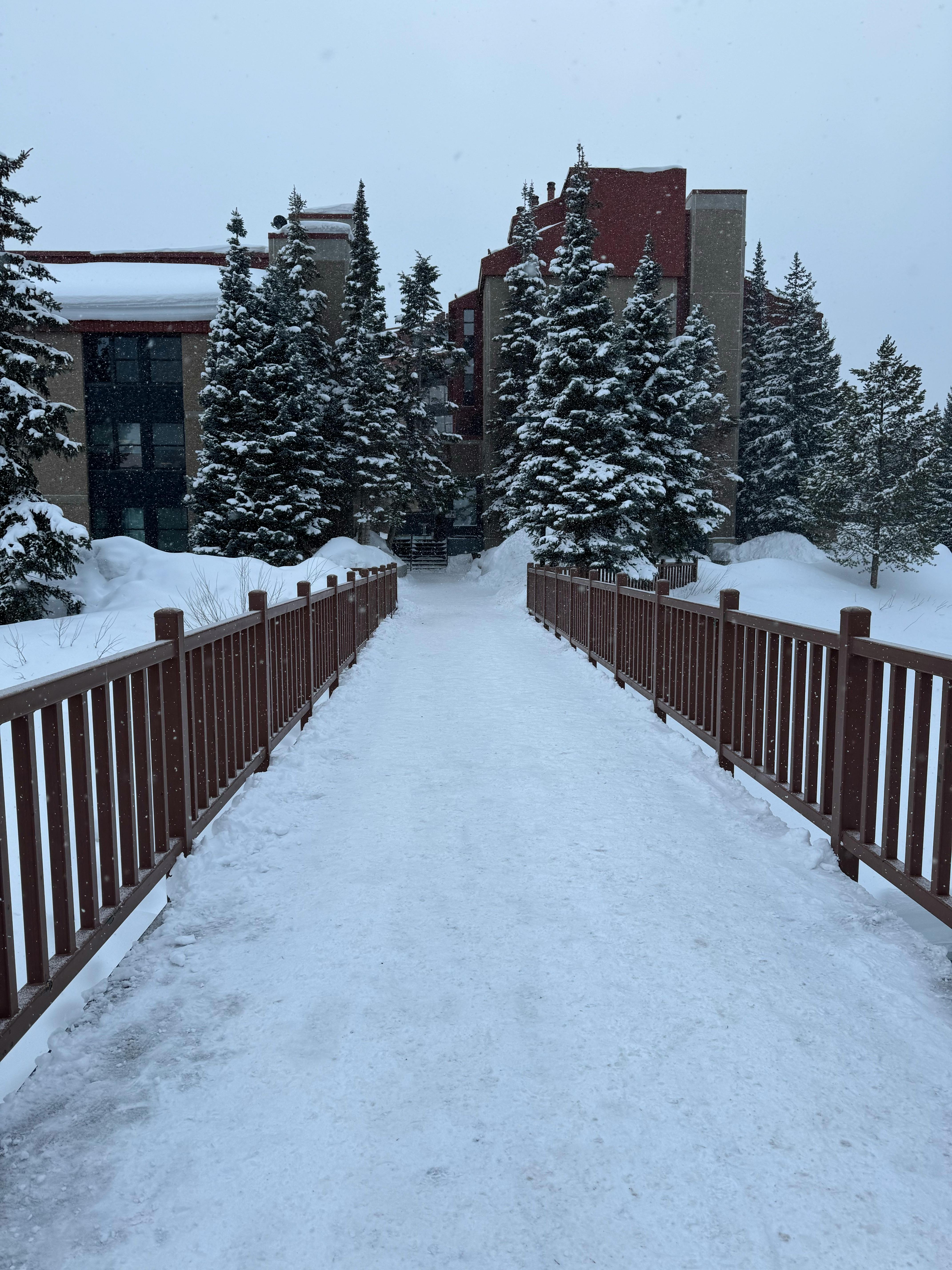 Snow Covered Walkway and a Building · Free Stock Photo