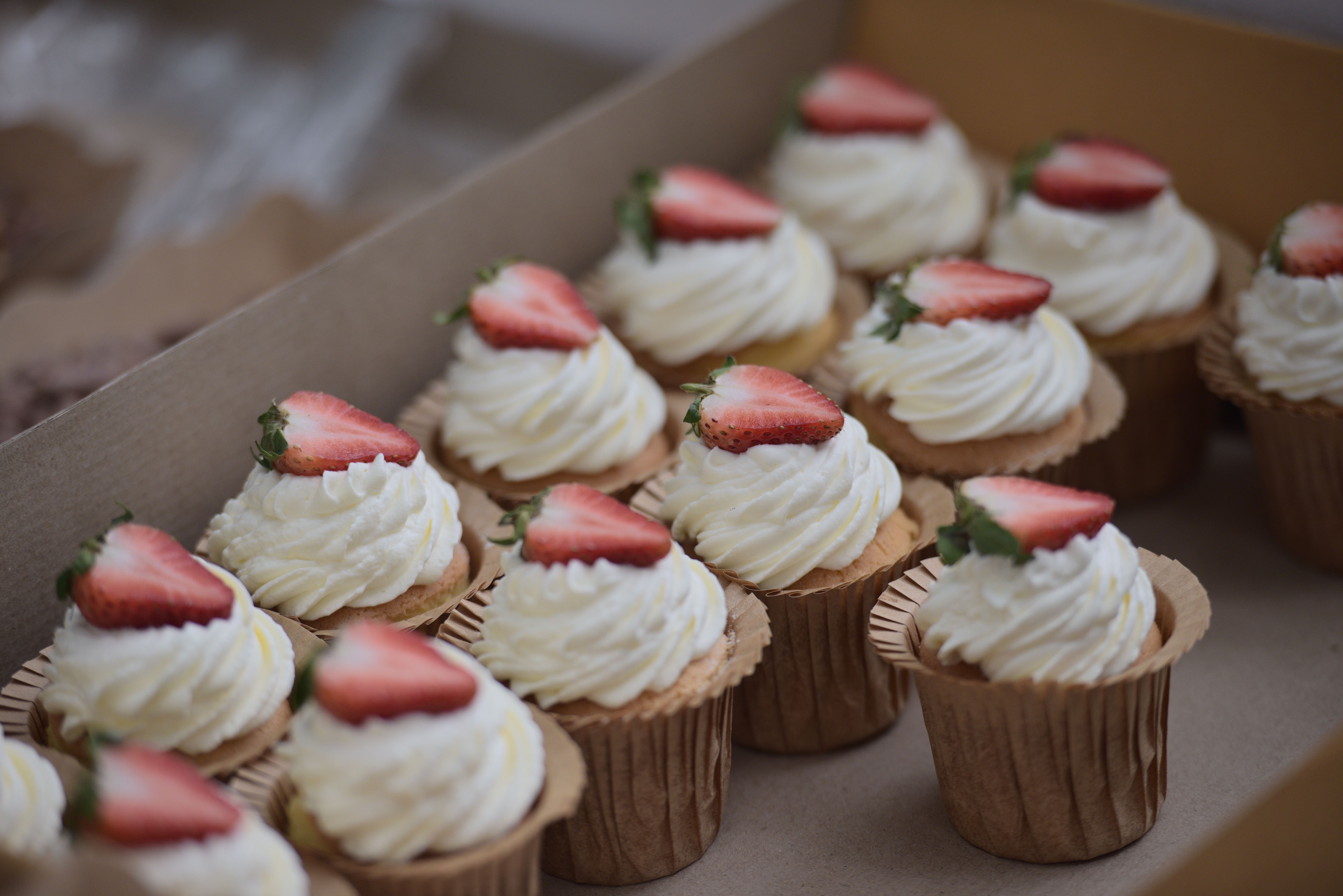 cupcake · Free Stock Photo