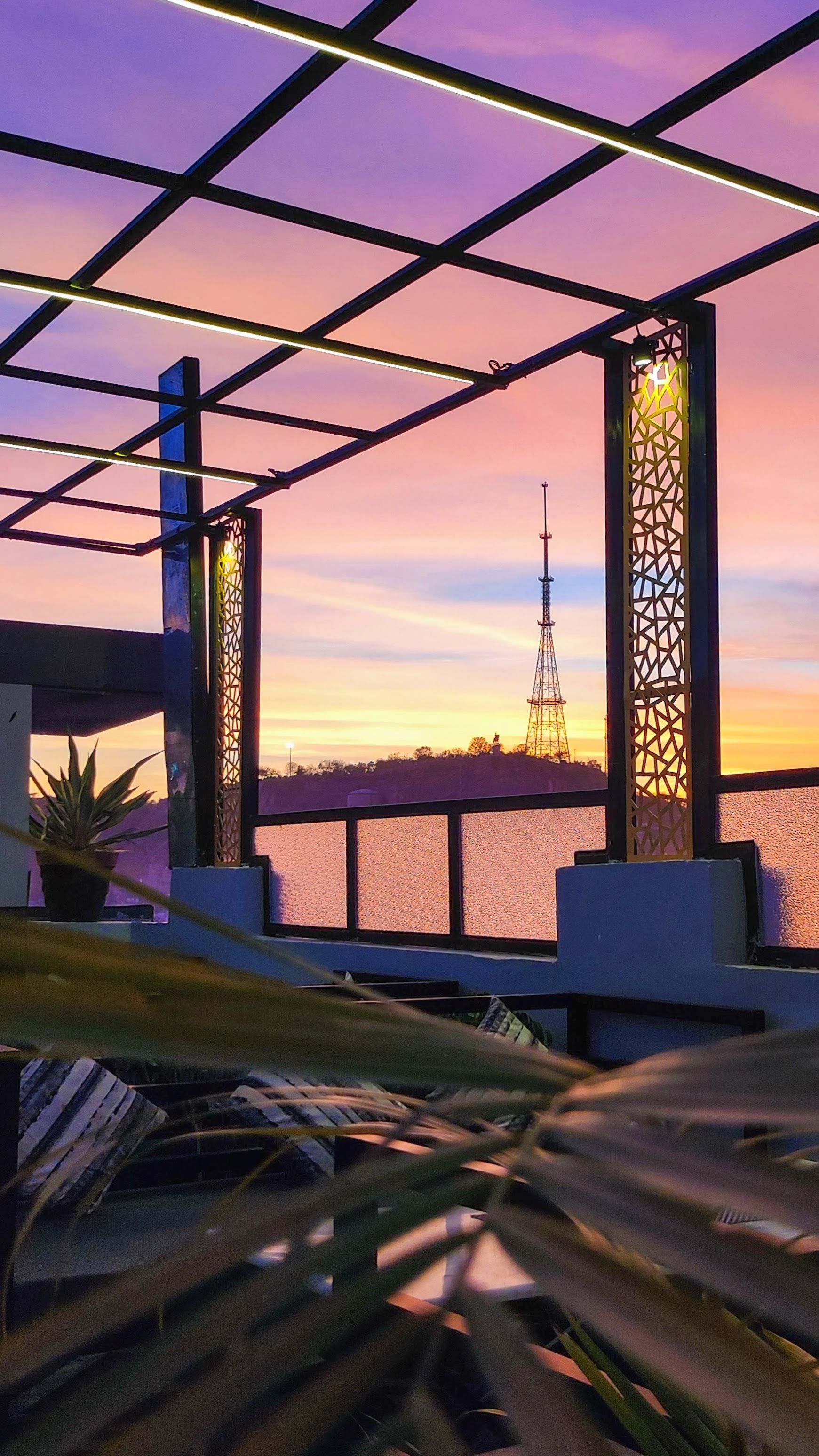 Plant on Terrace at Sunset · Free Stock Photo