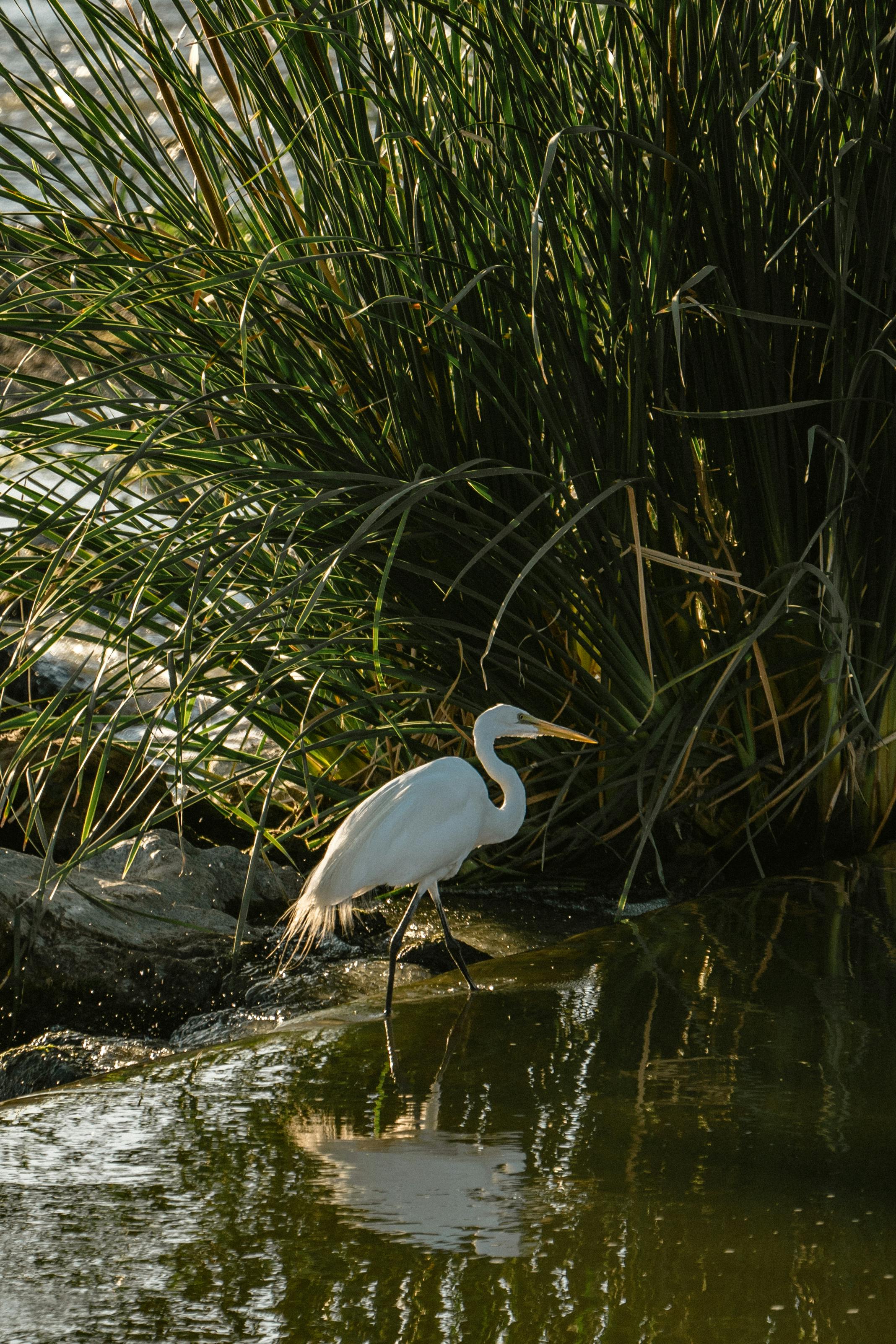 Laporan Lake Rogi Photos, Download The BEST Free Laporan Lake Rogi ...